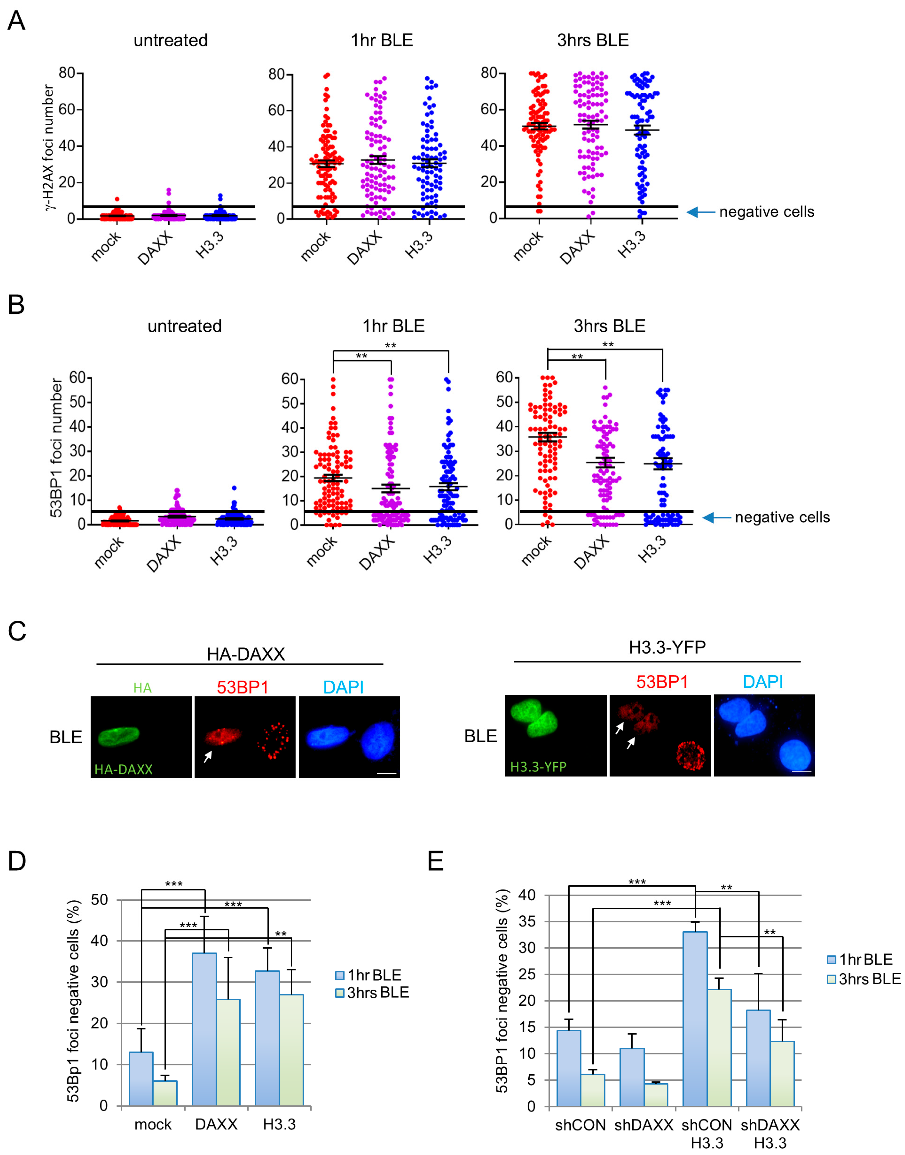 Daxx-Dependent H3.3 Deposition Promotes Double-Strand Breaks Repair by ...