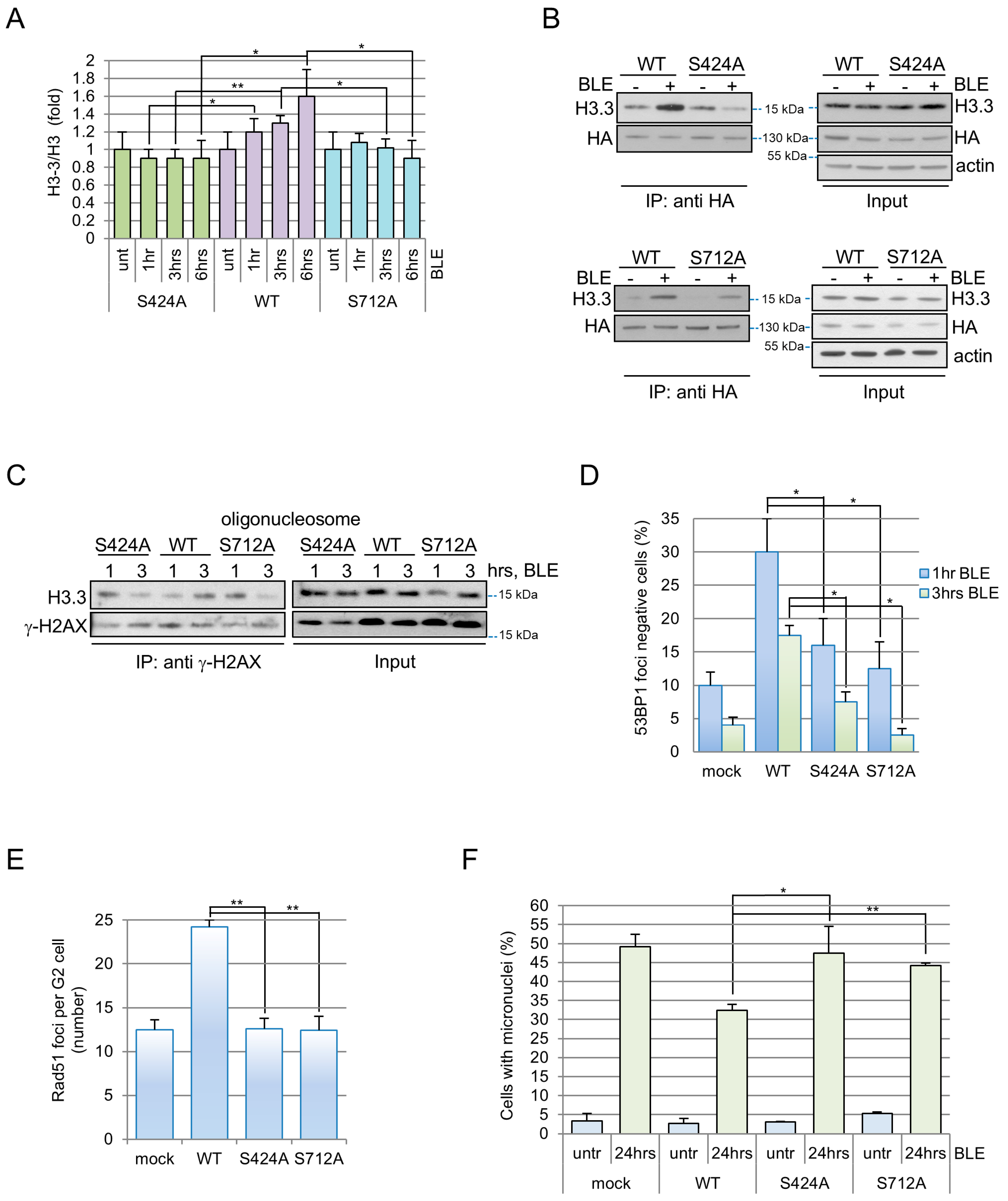 Daxx-Dependent H3.3 Deposition Promotes Double-Strand Breaks Repair by ...