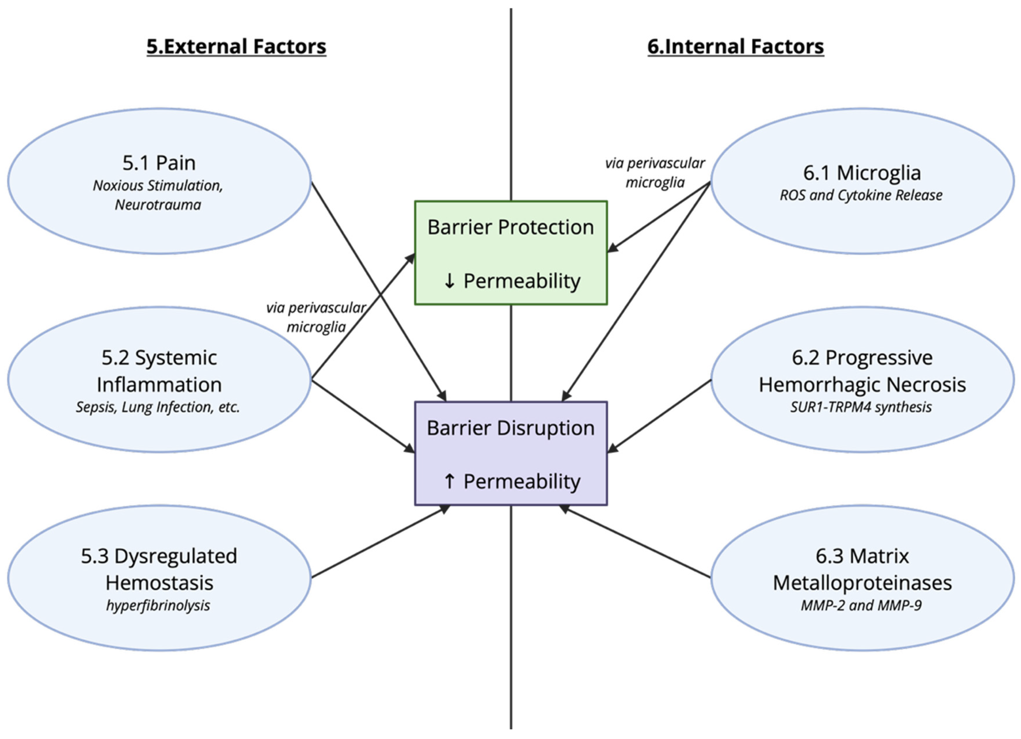 When Barriers Break: Tight Junction Regulation and Dynamic Alterations ...