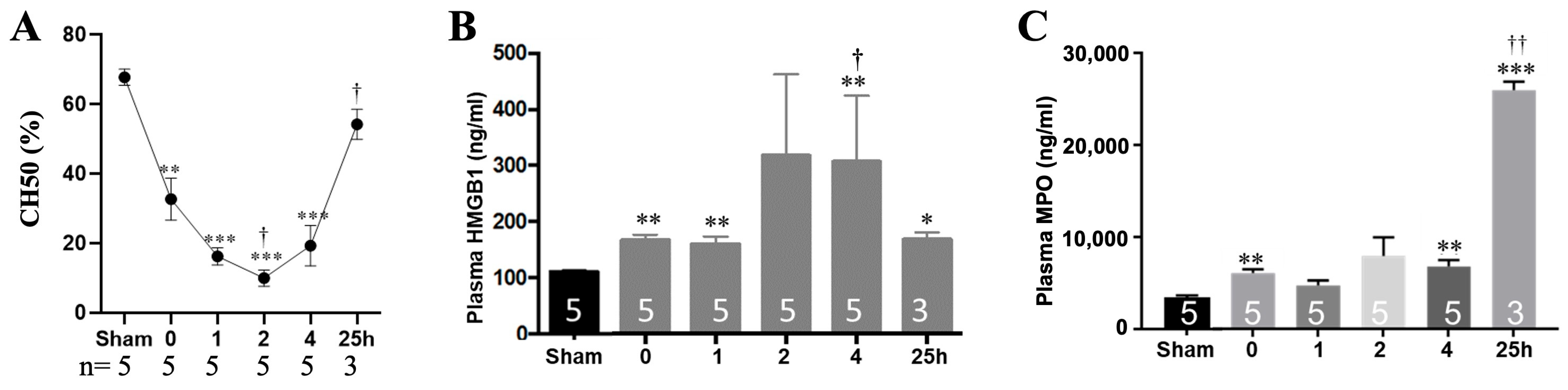 Development and Characterization of a Rat Model of Blast Polytrauma and ...