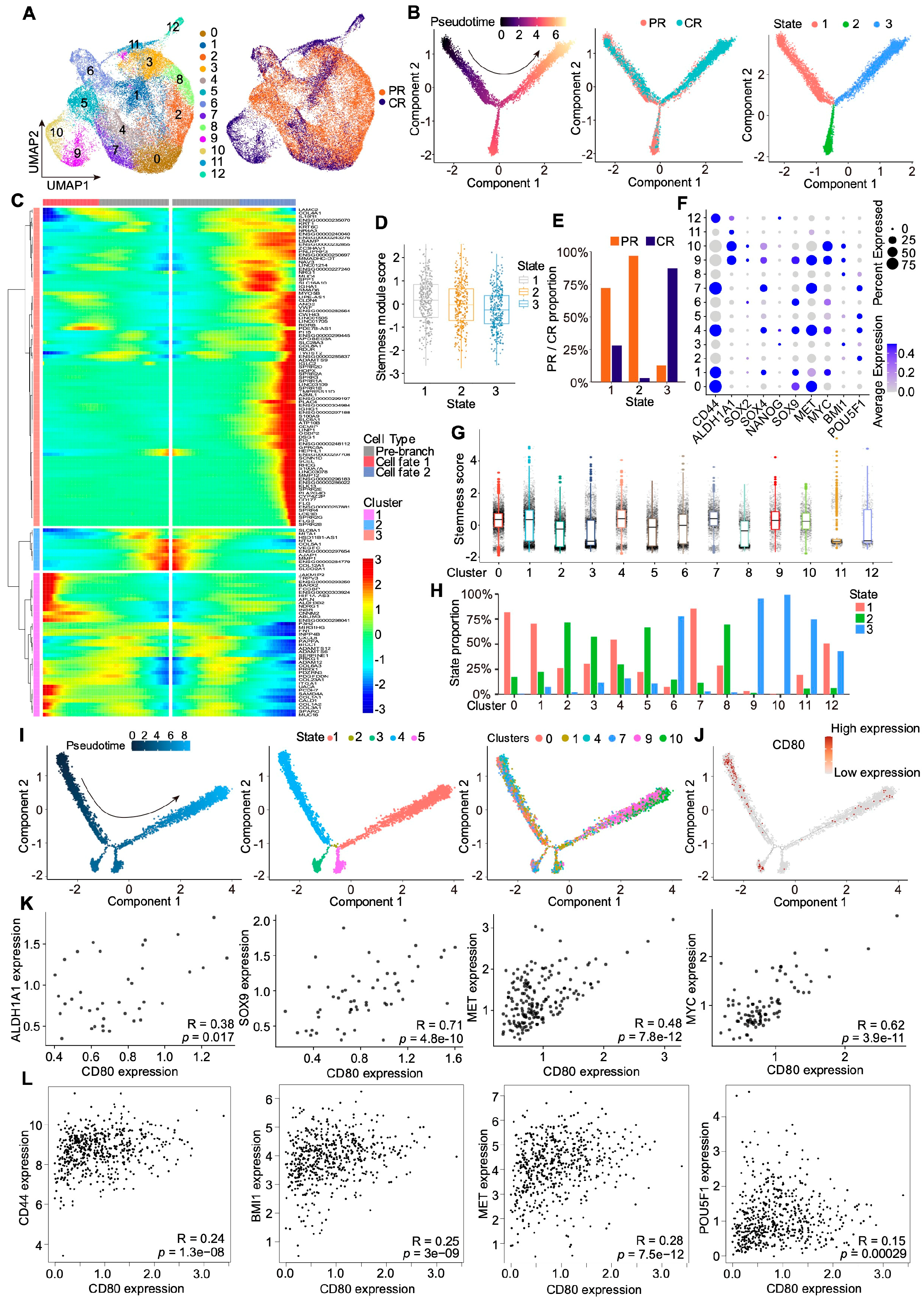 CD80-Mediated T-Cell Suppression by Cancer Stem-like Cells in Head and ...