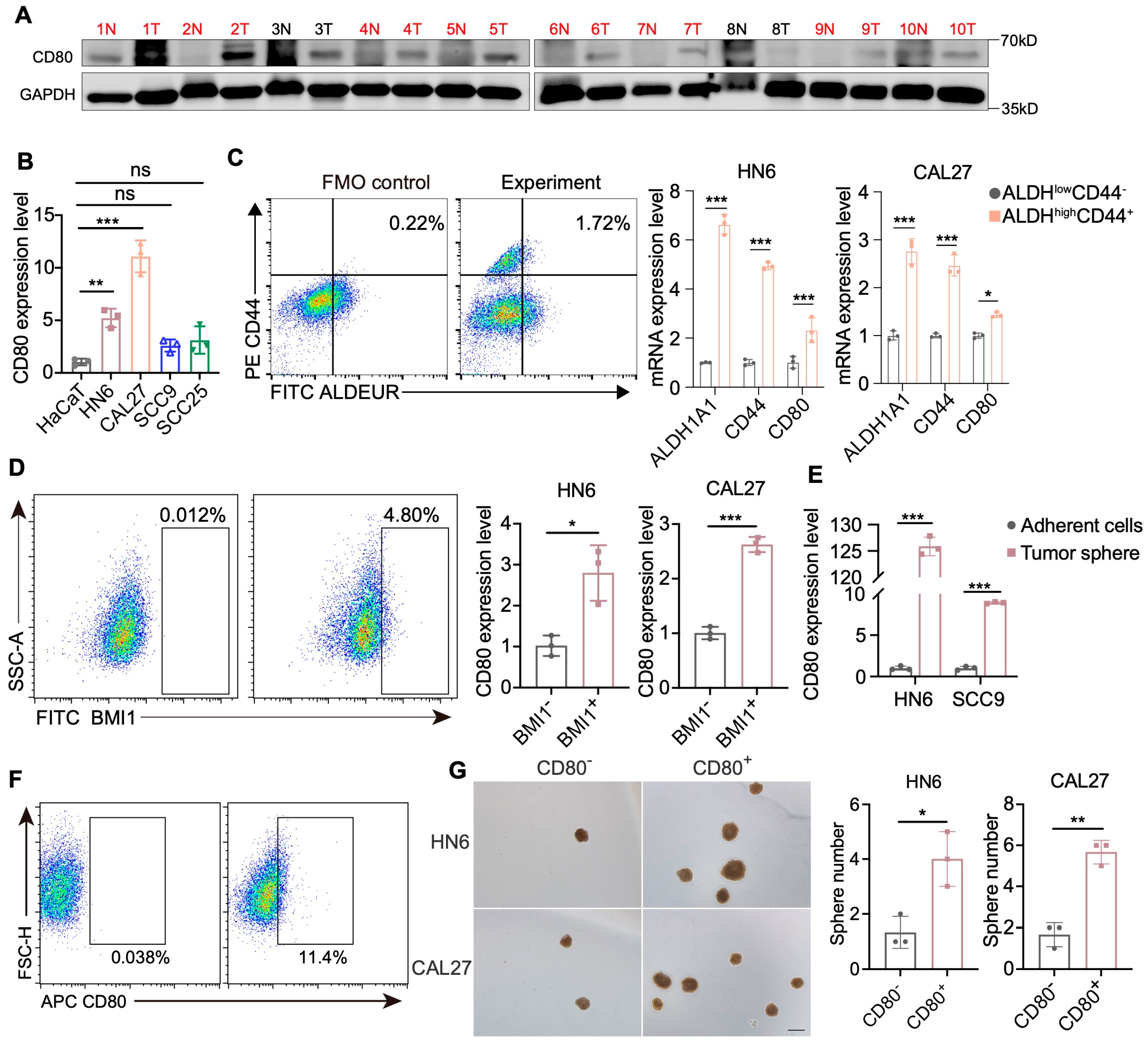 CD80-Mediated T-Cell Suppression by Cancer Stem-like Cells in Head and ...