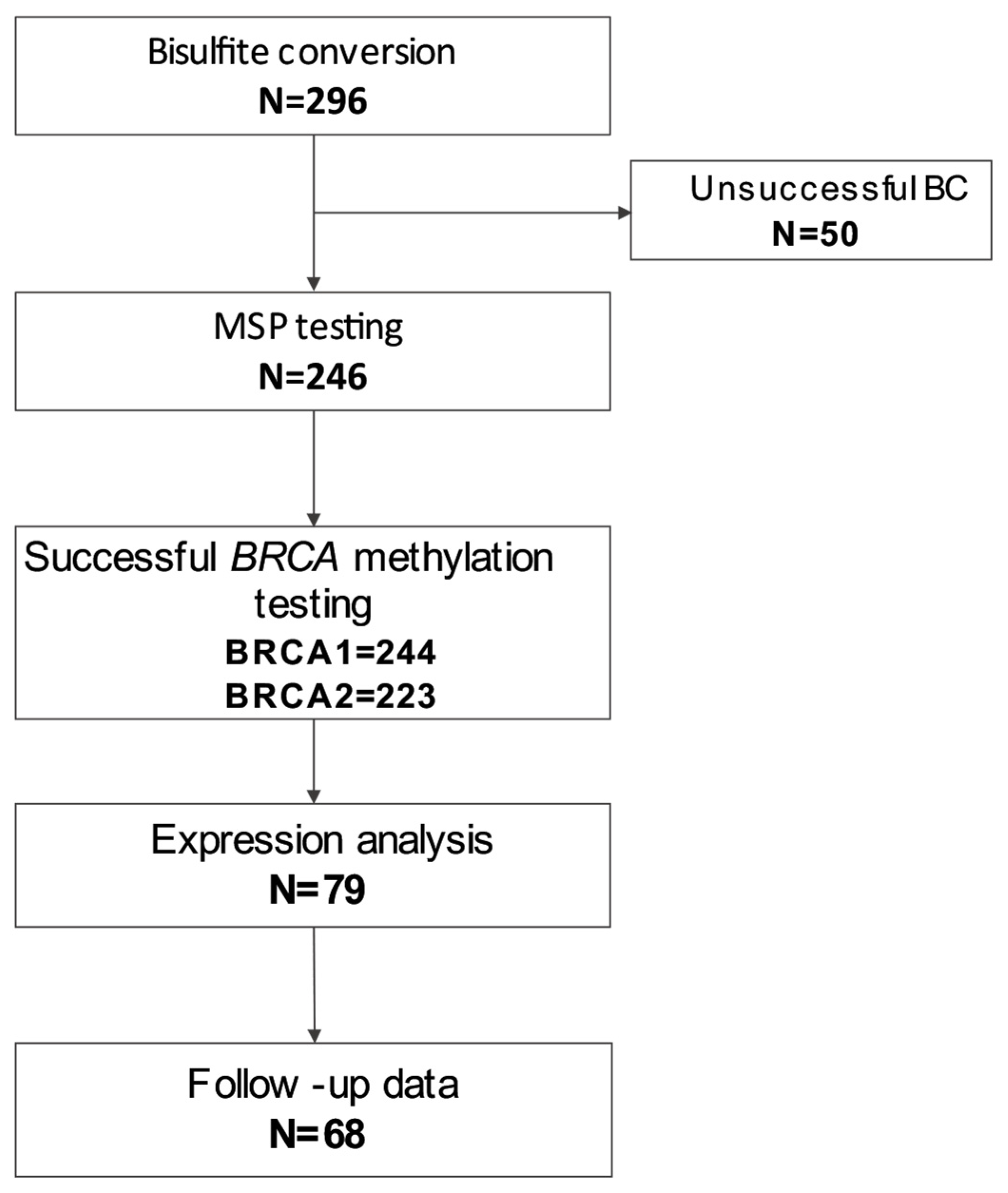 The Effects of BRCA1 and BRCA2 Promoter Methylation on ...