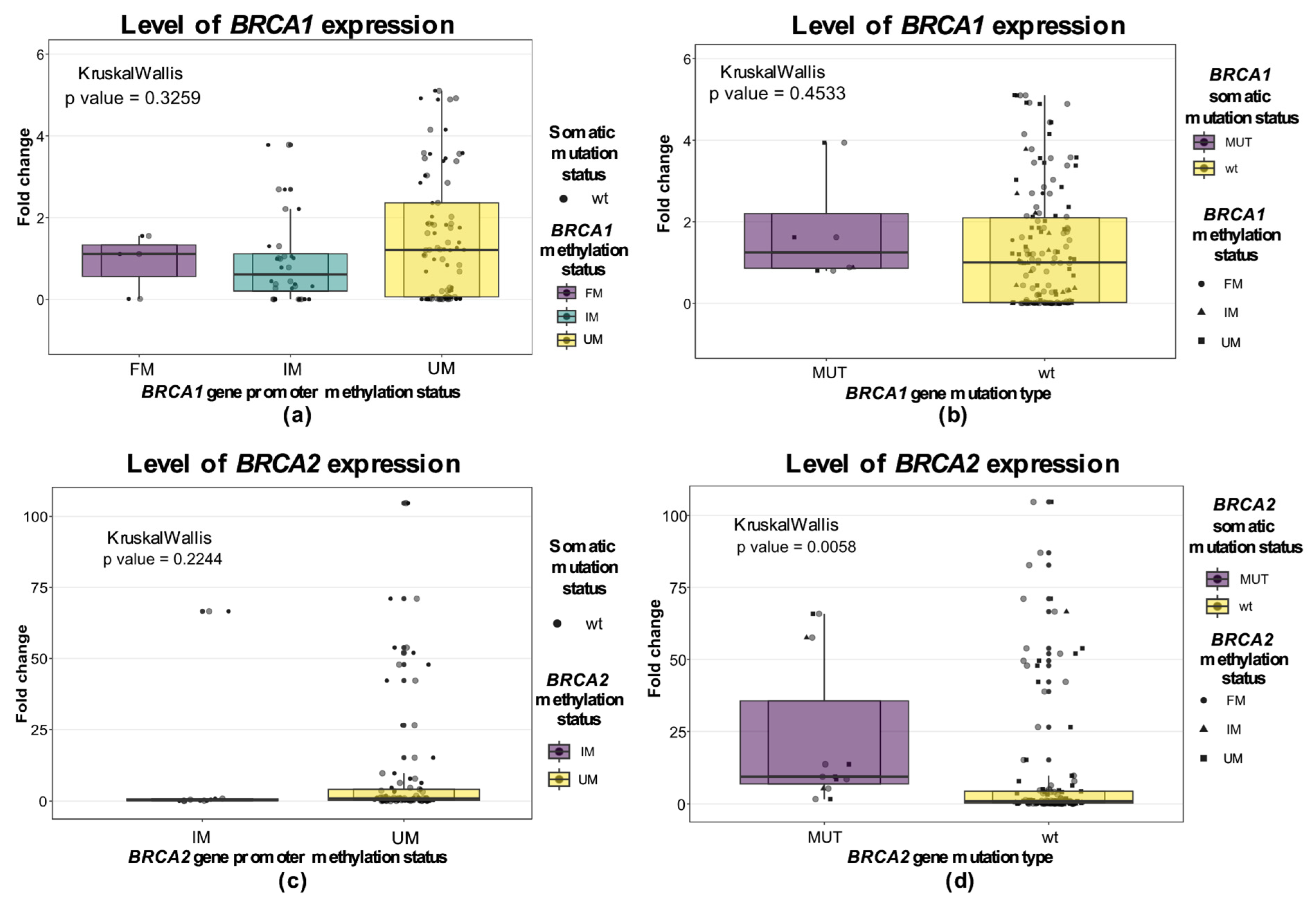 The Effects of BRCA1 and BRCA2 Promoter Methylation on ...