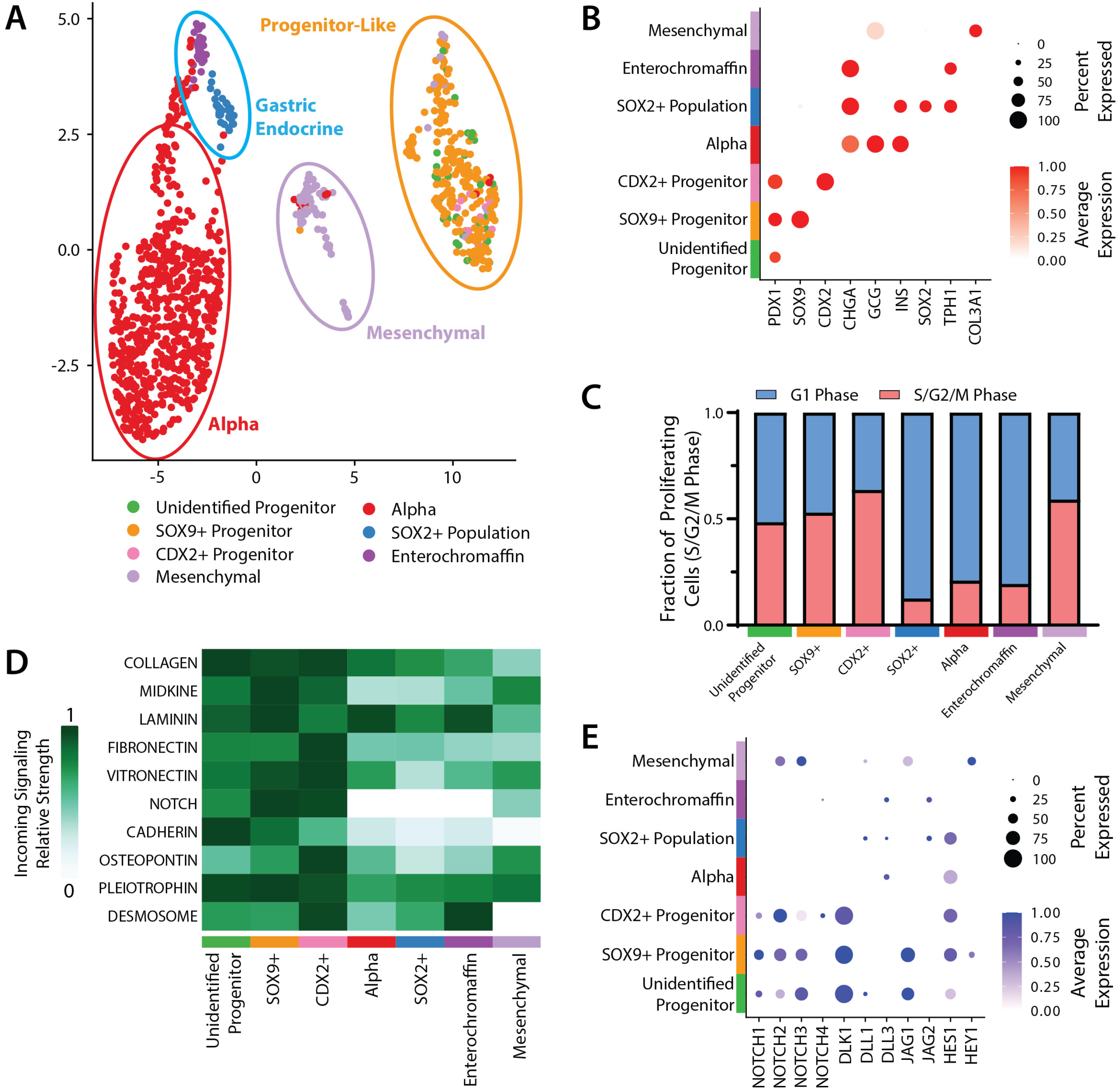 Disruption of Cell-Adhesion Signaling Resolves Unwanted Progenitor ...