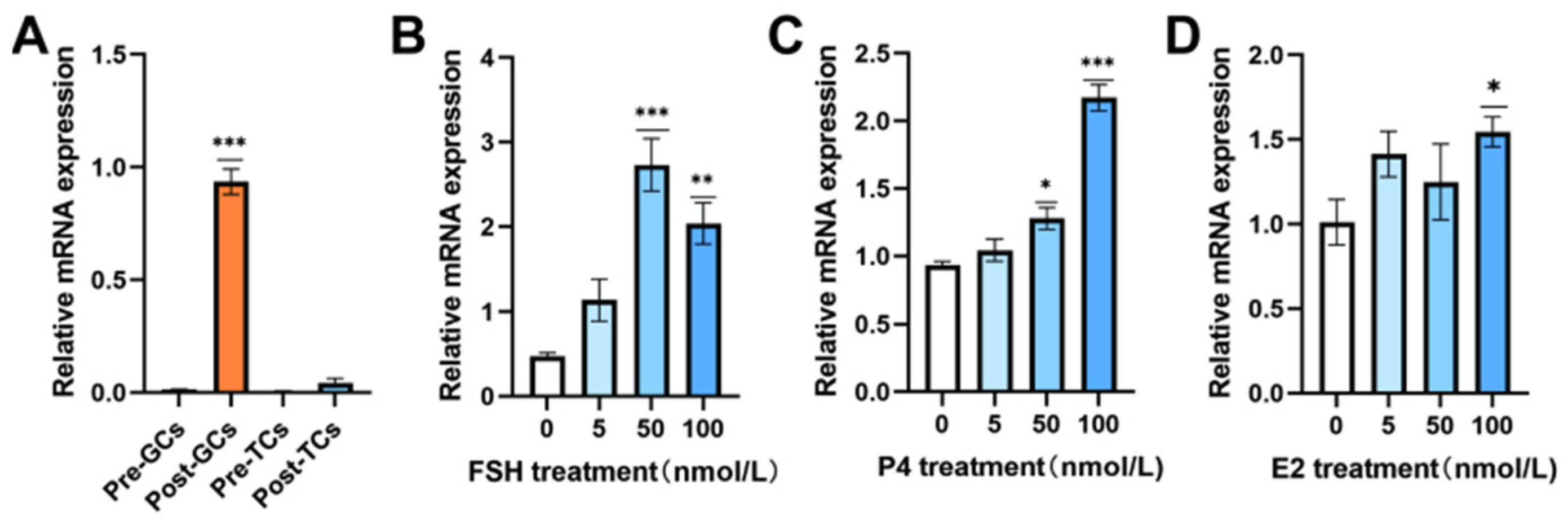 LncRNA RORB-IT1 Encoding a Micropeptide Regulates Progesterone ...