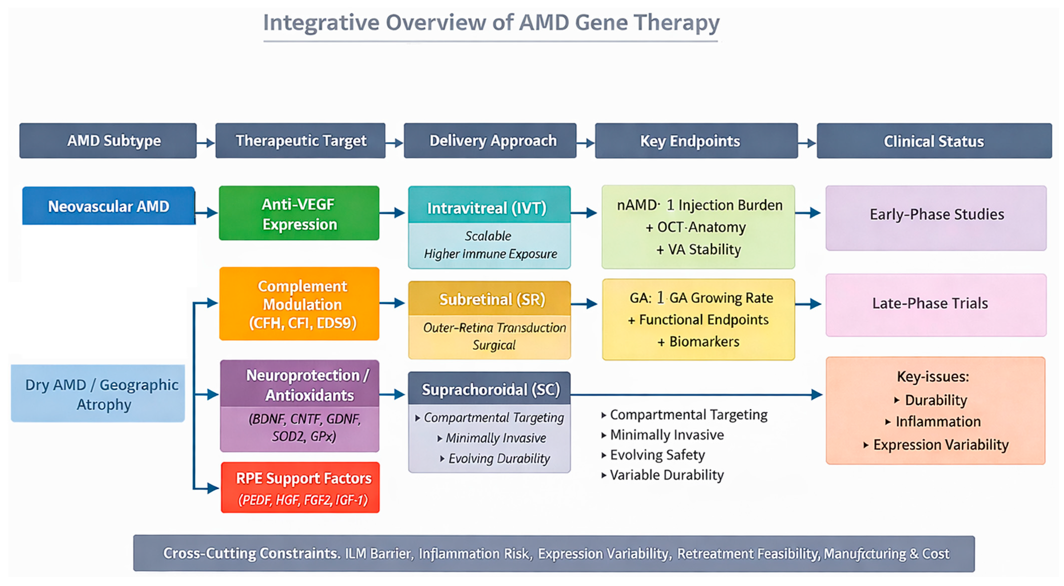 Gene Therapy Advancements in Age-Related Macular Degeneration Treatment