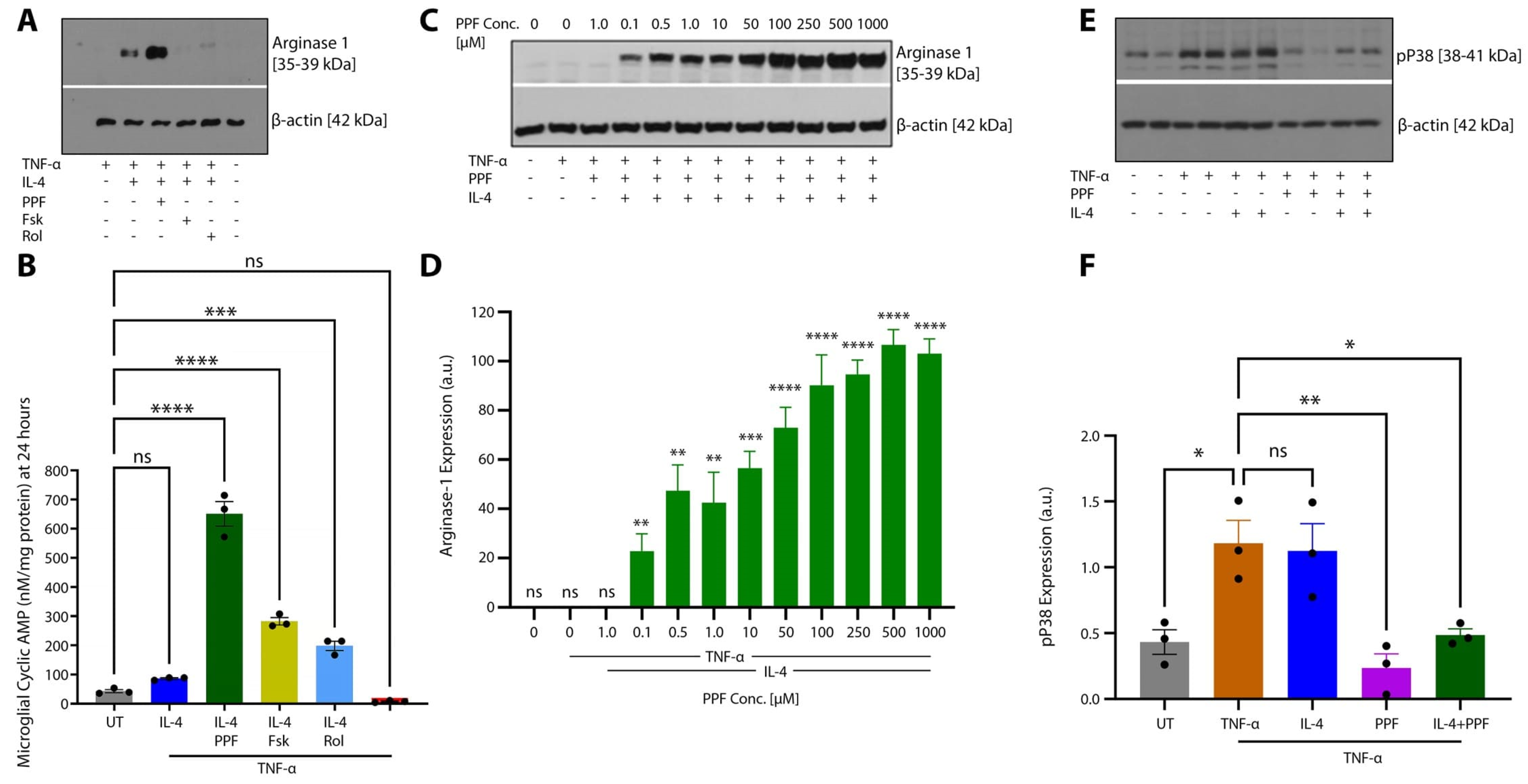 Propentofylline and Interleukin-4 Modulate Lesion-Associated Myeloid ...