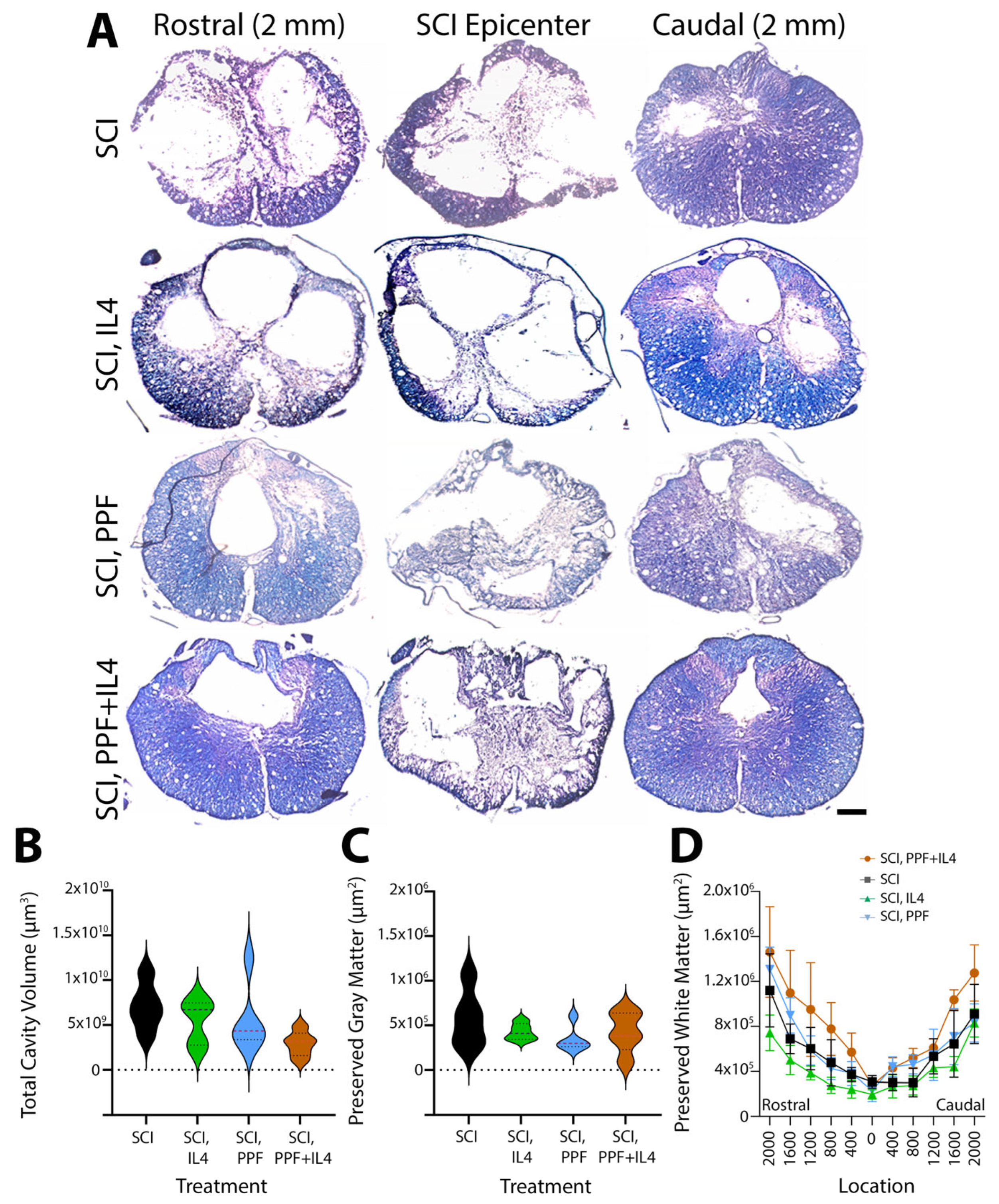 Propentofylline and Interleukin-4 Modulate Lesion-Associated Myeloid ...