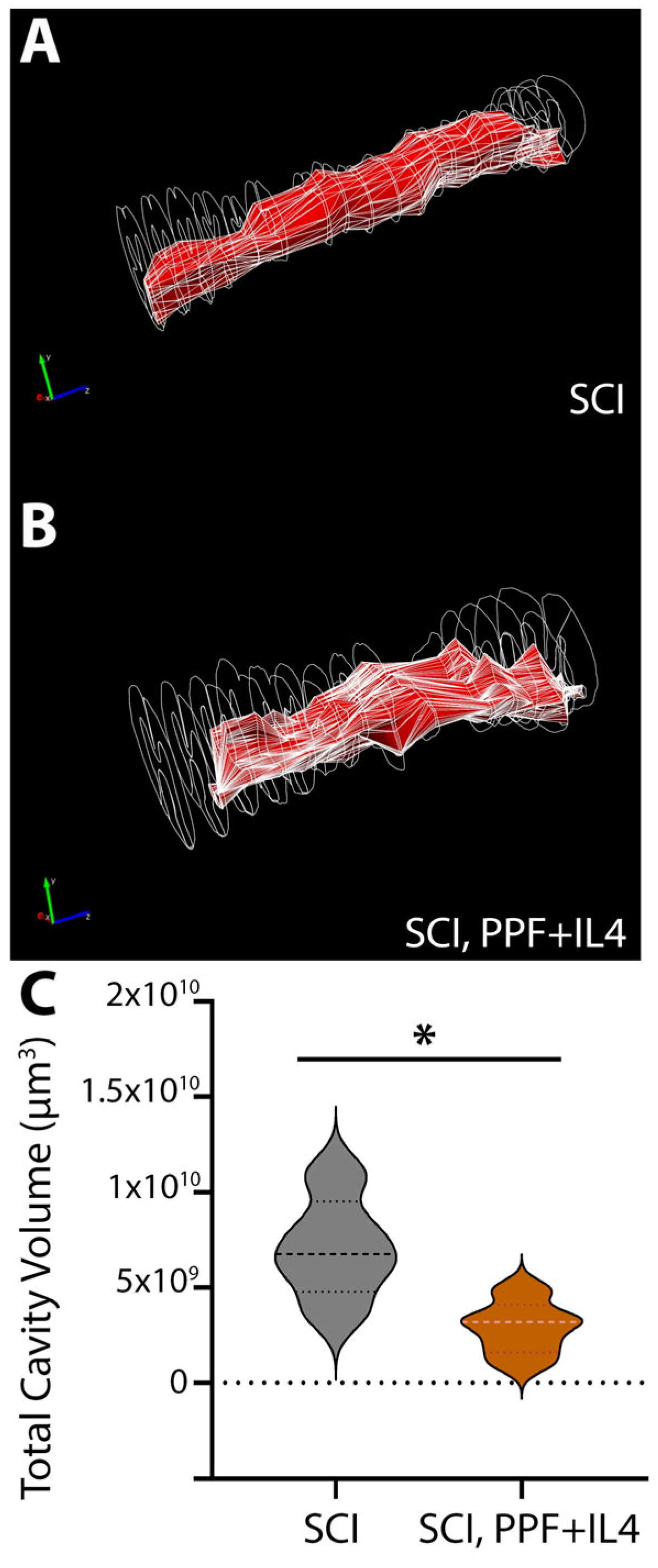 Propentofylline and Interleukin-4 Modulate Lesion-Associated Myeloid ...