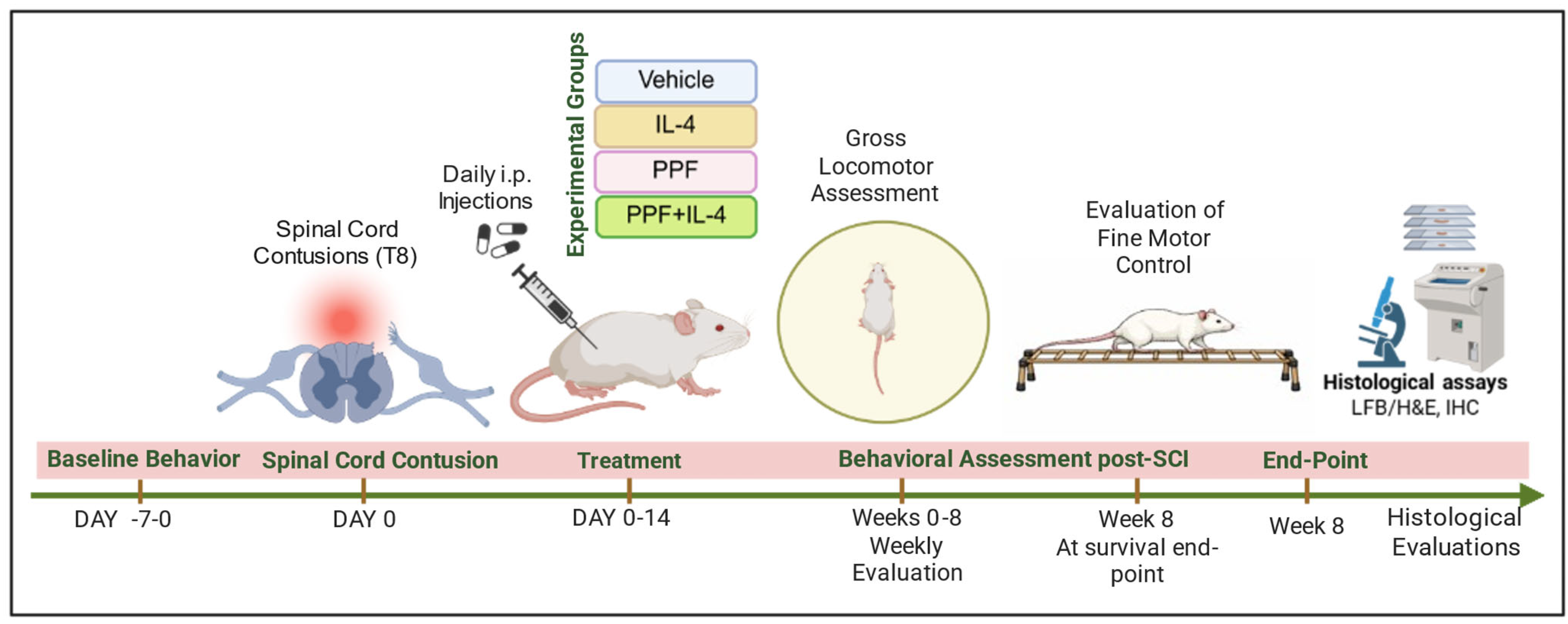 Propentofylline and Interleukin-4 Modulate Lesion-Associated Myeloid ...