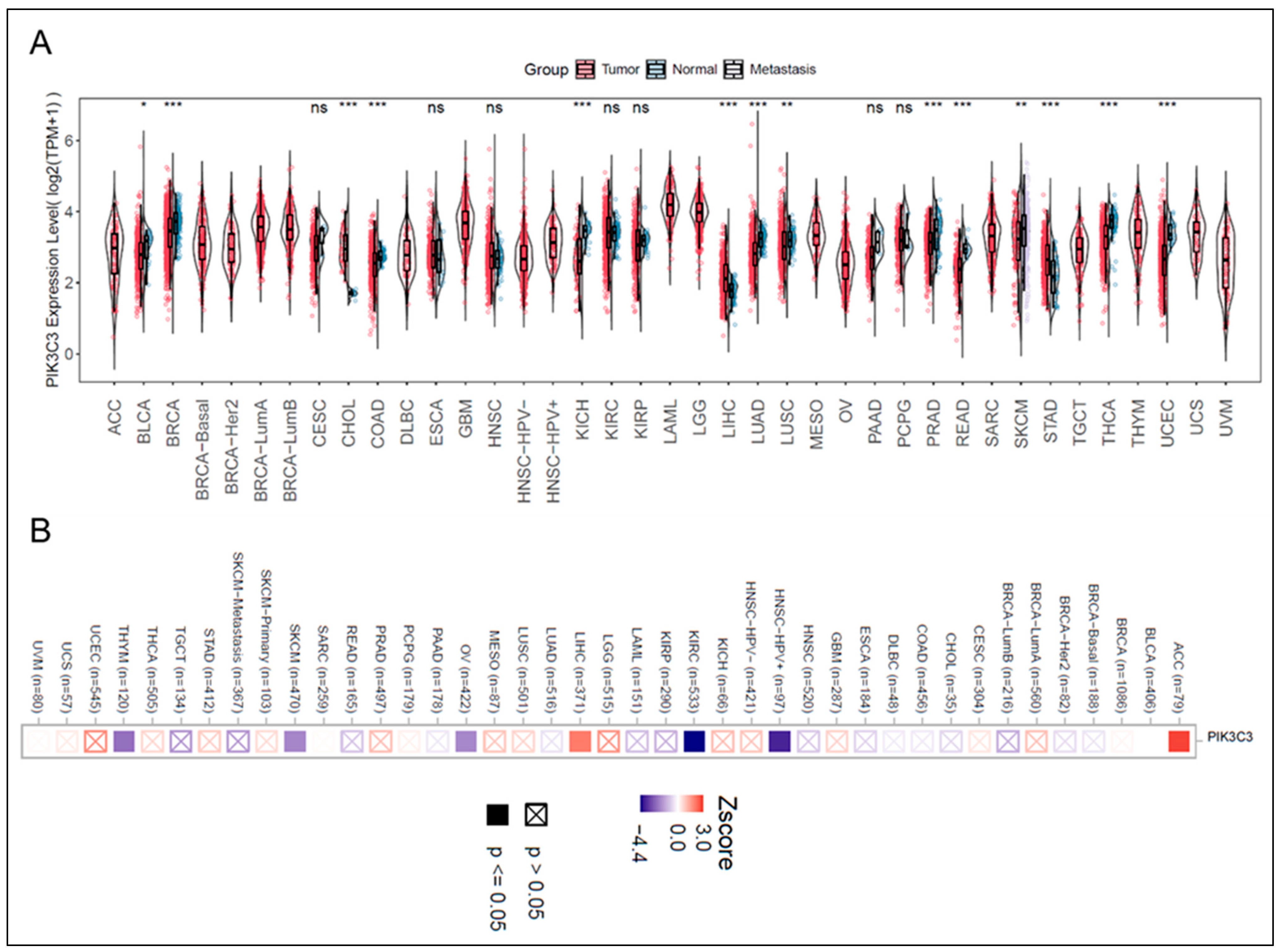 VPS34 in Autophagy, Cancer, and Cancer Therapy