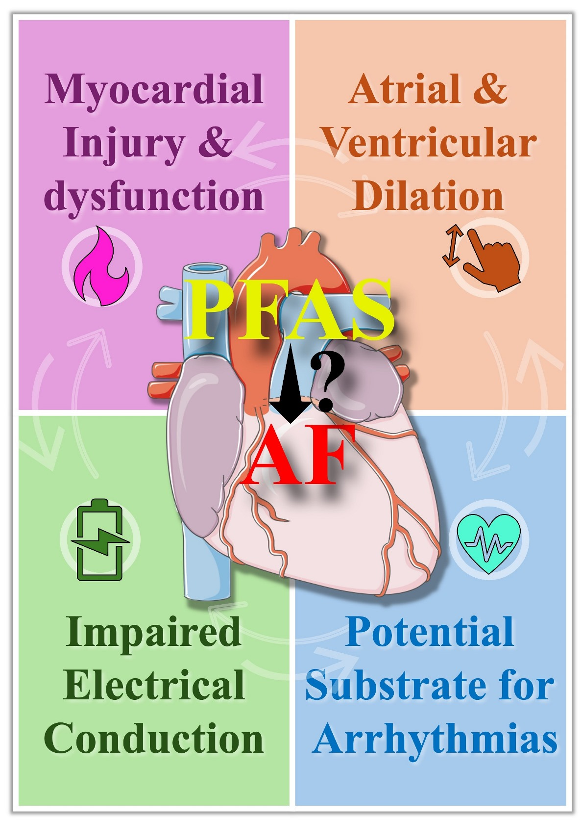 Per- and Polyfluoroalkyl Substances (PFAS) Within the Exposome ...