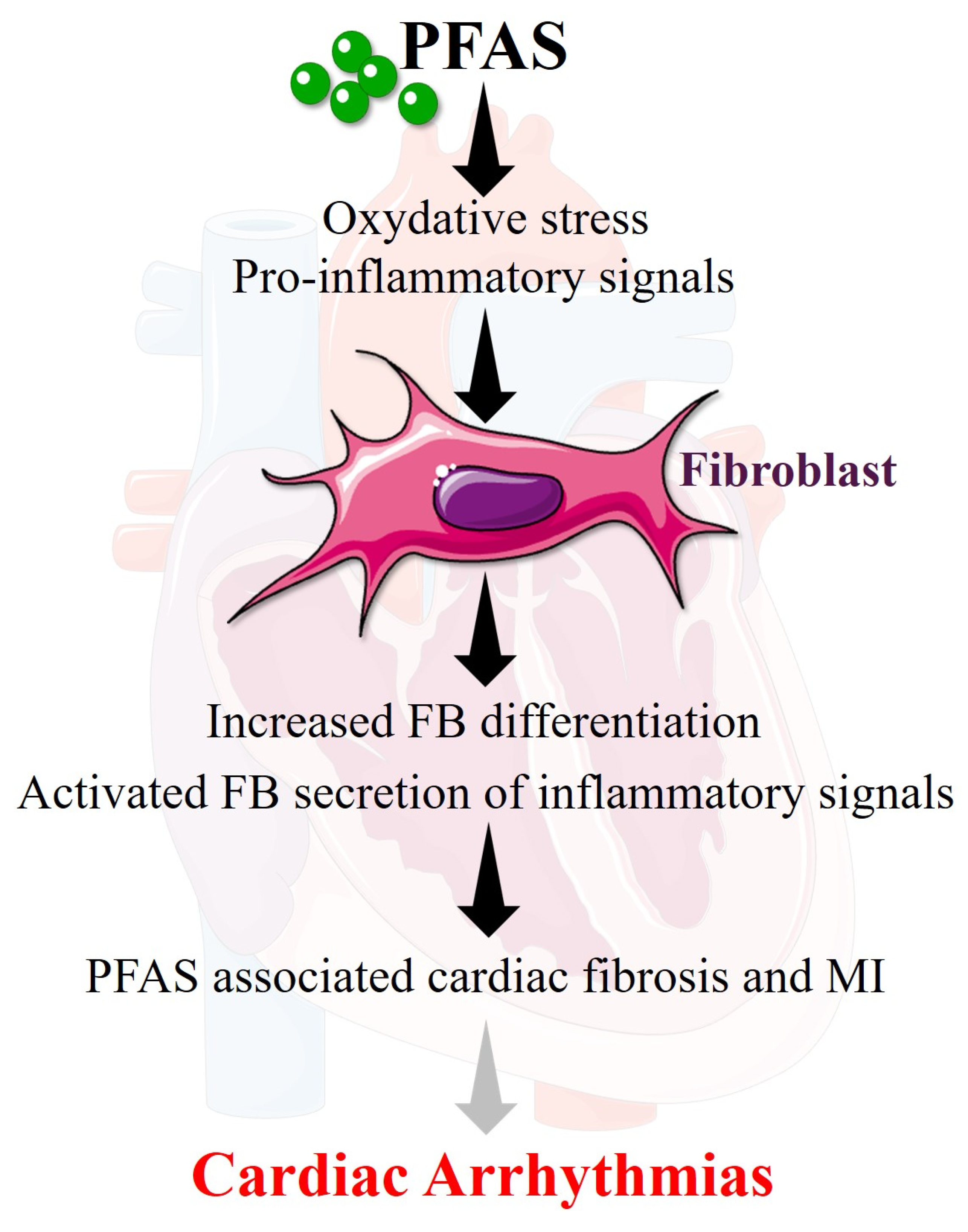 Per- and Polyfluoroalkyl Substances (PFAS) Within the Exposome ...