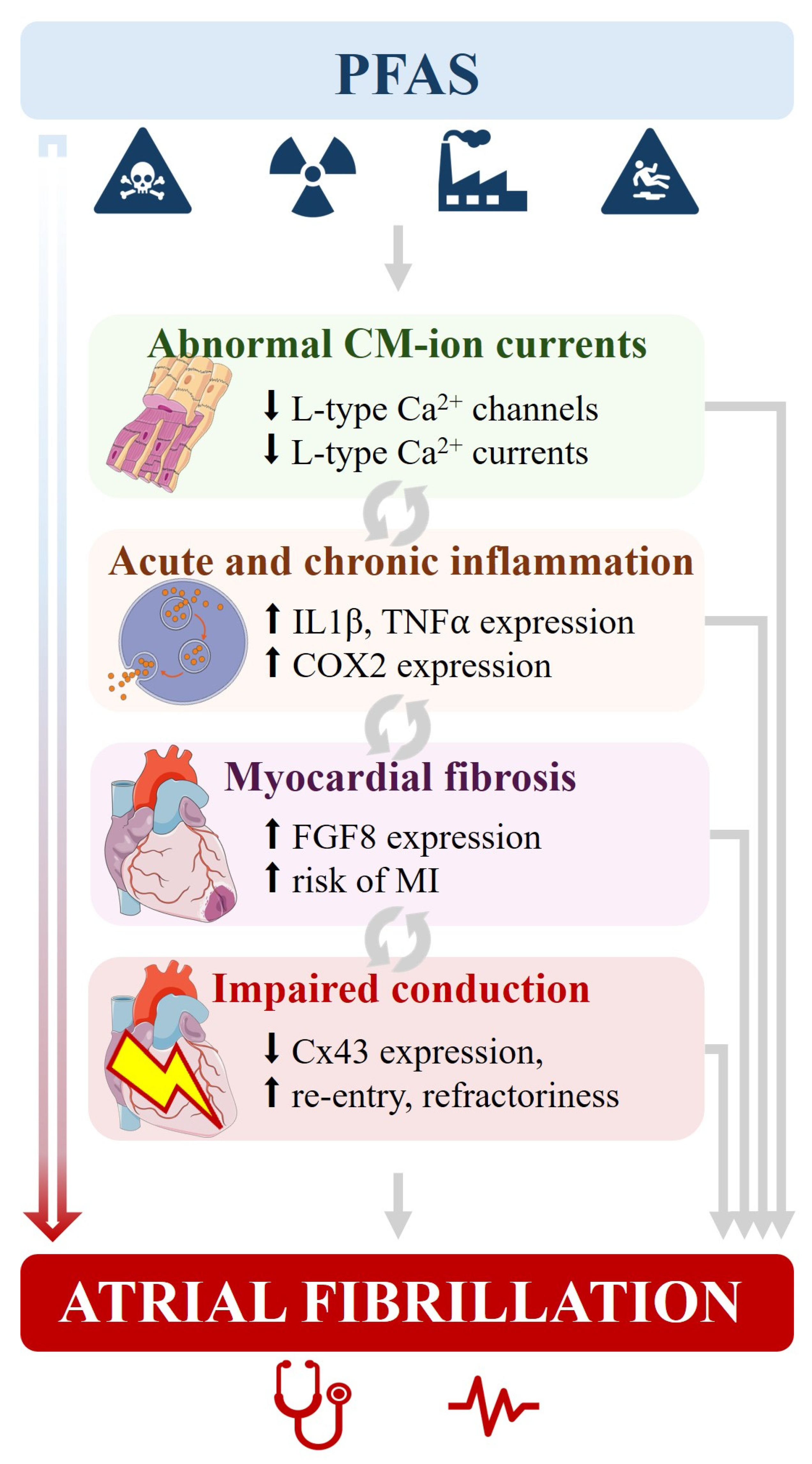 Per- and Polyfluoroalkyl Substances (PFAS) Within the Exposome ...