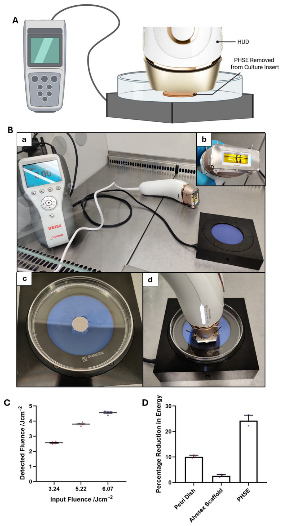 An Innovative Bioengineering Approach to Investigate the Response of ...