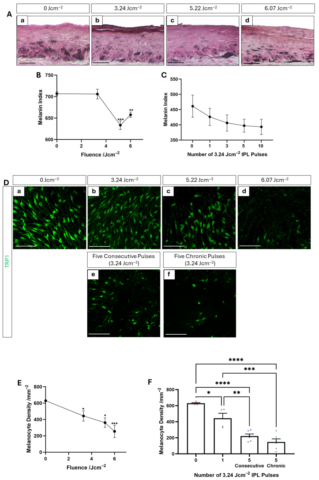 An Innovative Bioengineering Approach to Investigate the Response of ...