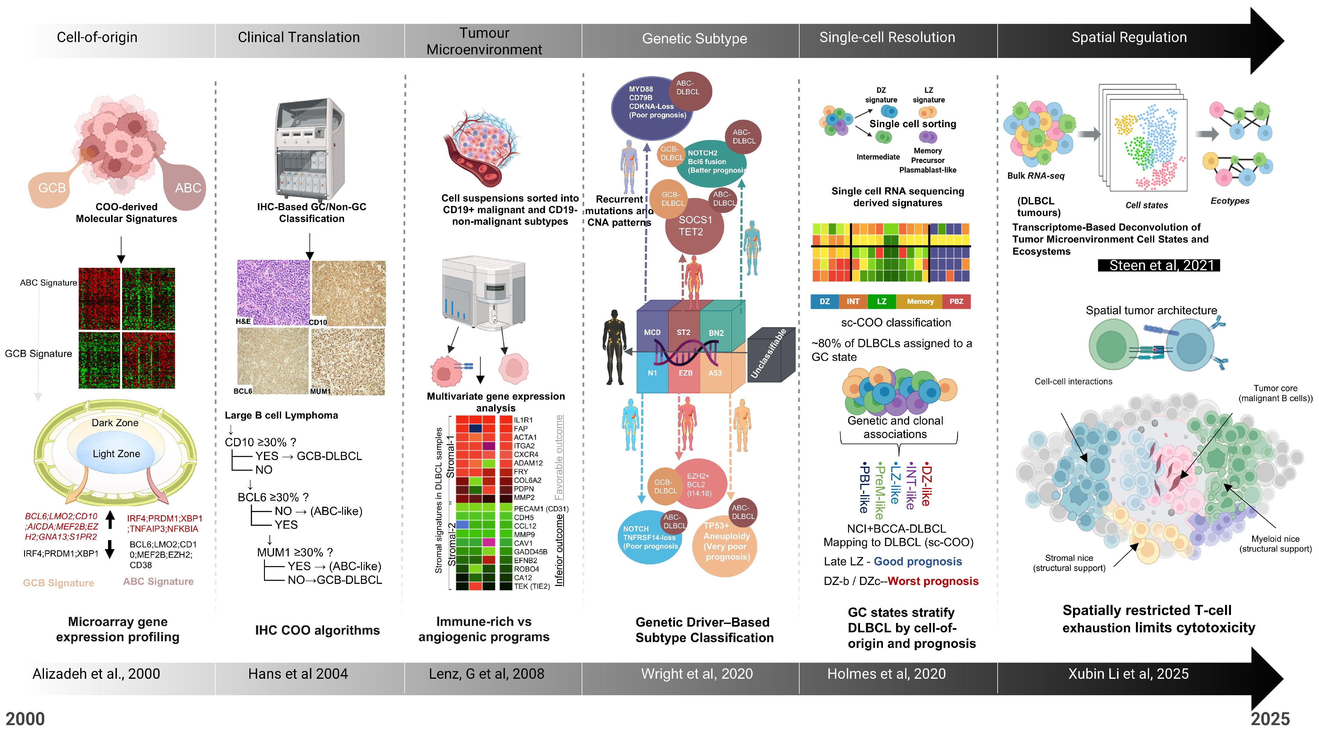 Diffuse Large B-Cell Lymphoma: From Molecular Stratification to ...