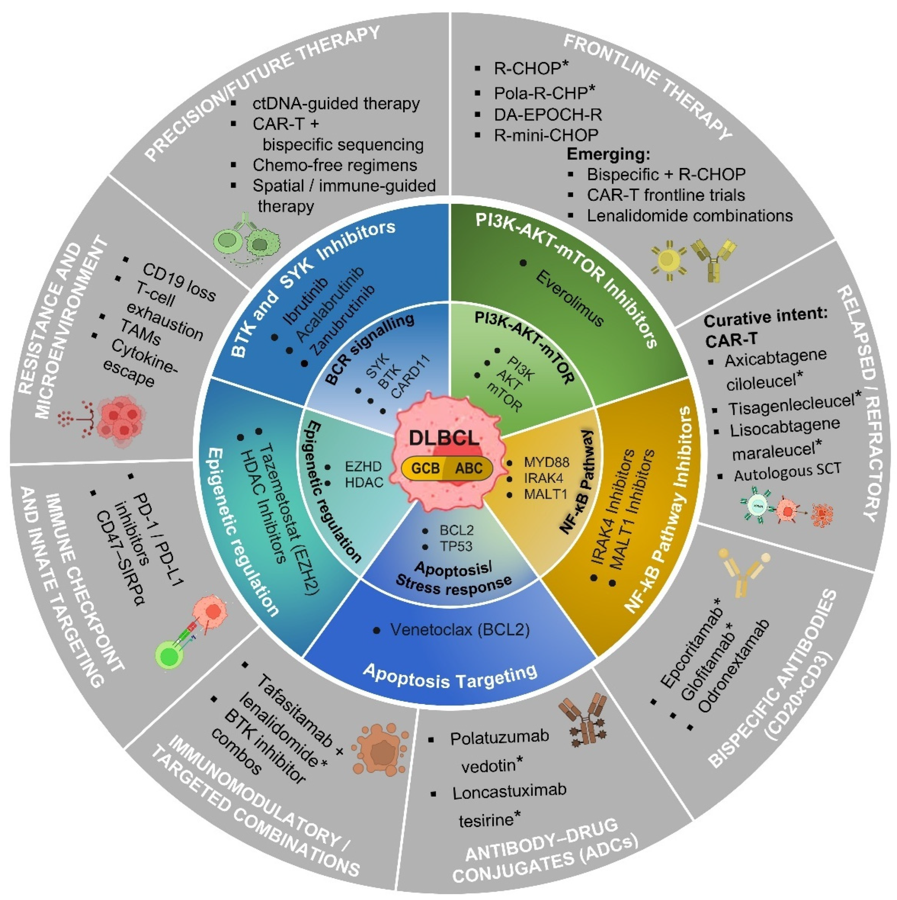 Diffuse Large B-Cell Lymphoma: From Molecular Stratification to ...