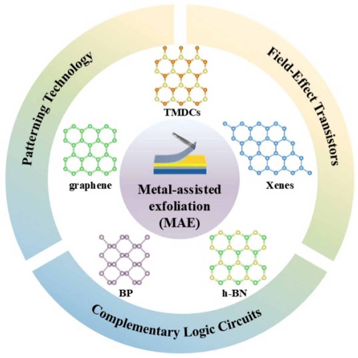 Metal-Assisted Exfoliation of Two-Dimensional Materials: From ...