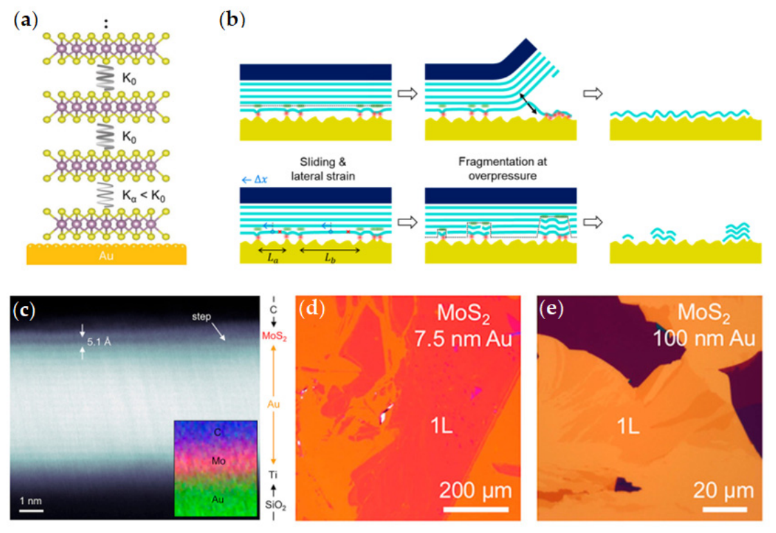 Metal-Assisted Exfoliation of Two-Dimensional Materials: From ...