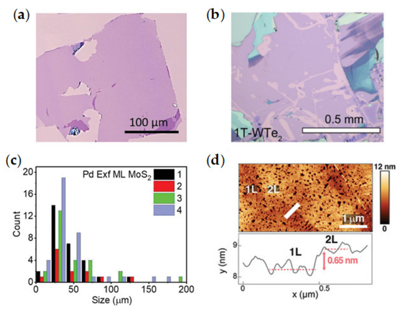 Metal-Assisted Exfoliation of Two-Dimensional Materials: From ...