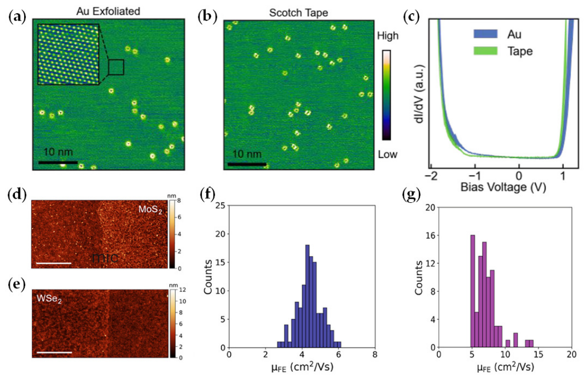 Metal-Assisted Exfoliation of Two-Dimensional Materials: From ...