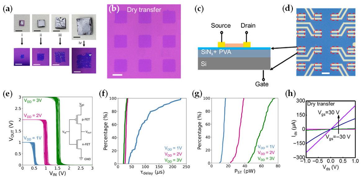 Metal-Assisted Exfoliation of Two-Dimensional Materials: From ...