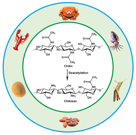 Recent Advances in Chitosan-Based Hydrogels for Flexible Wearable Sensors
