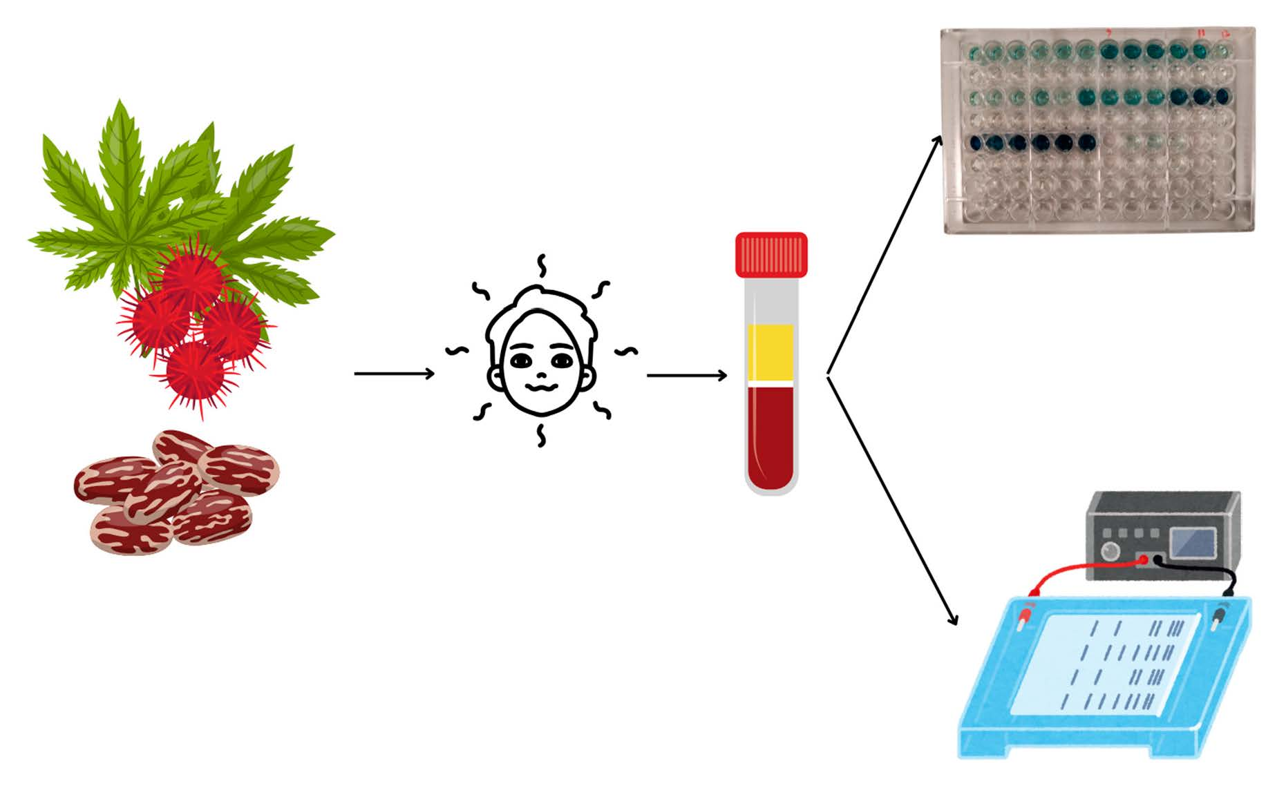 From Bench to Bedside: Validation of an ELISA Analytical Method for the ...