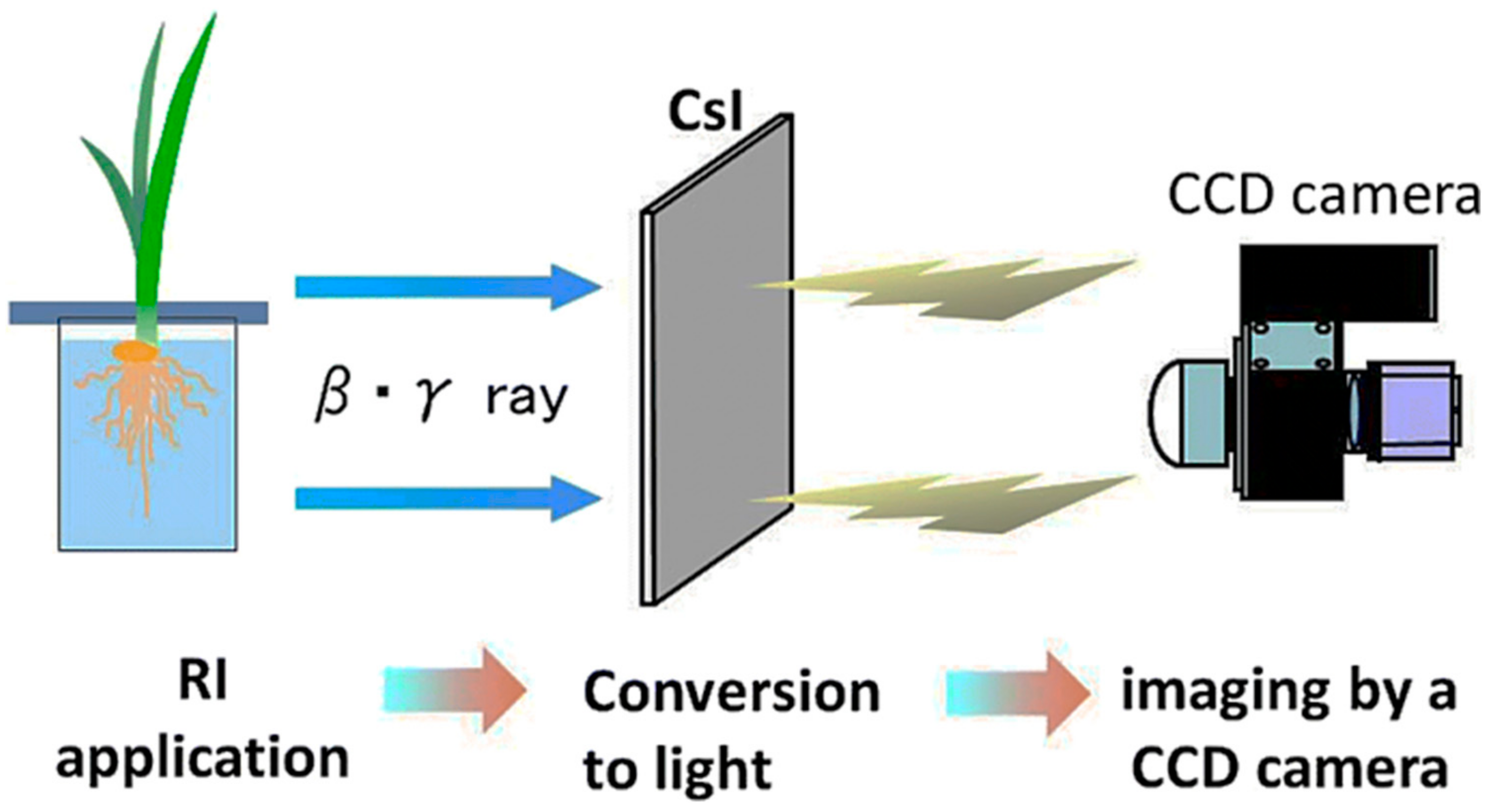 Chemistry Proceedings Free Full Text Use Of Radioisotopes To Chemistry Proceedings Free Full Text Use Of Radioisotopes To