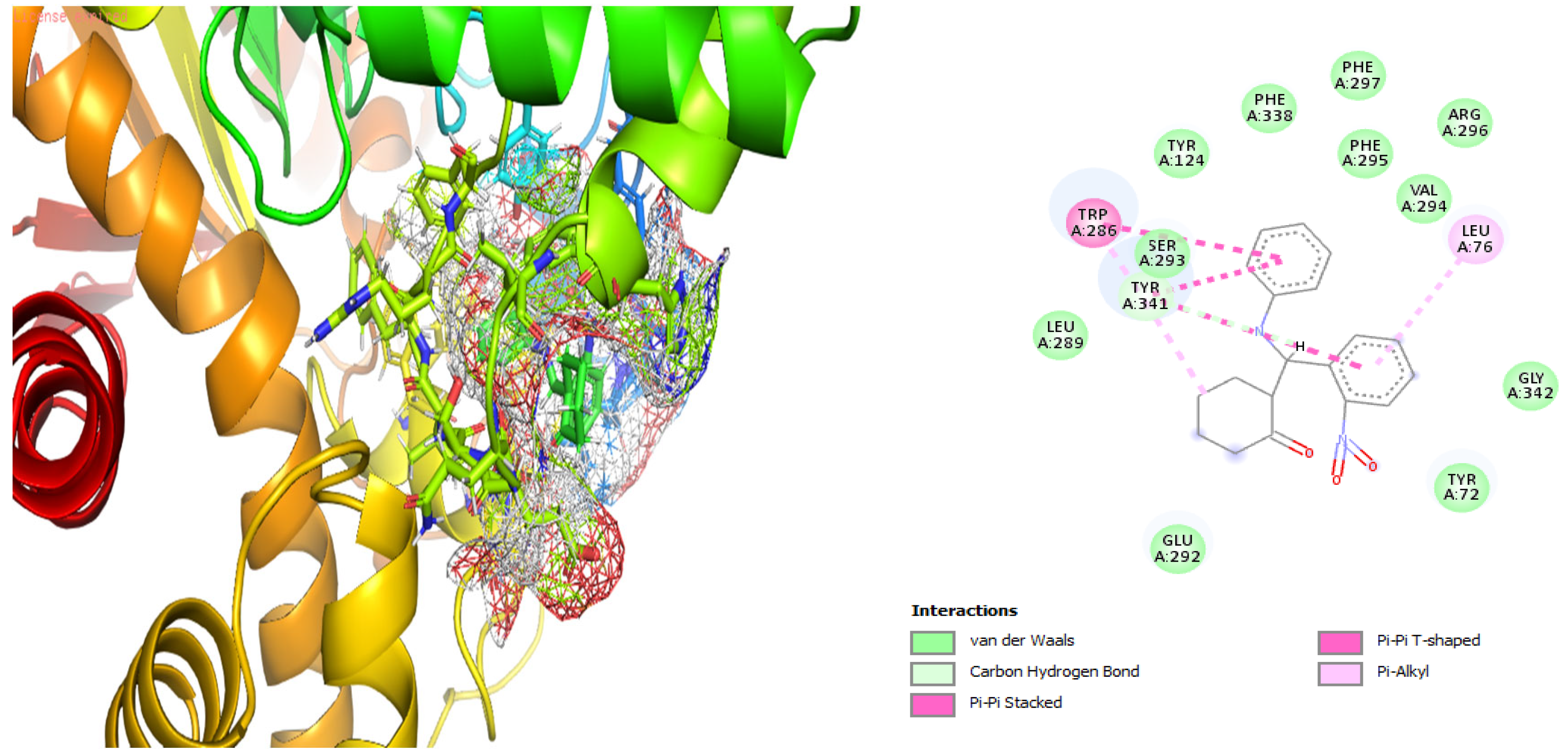 Simulation and Design of Anti and Syn Isomers of Mannich-Type Compounds ...