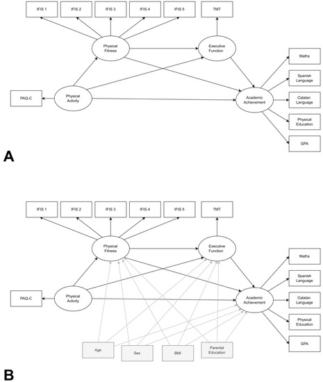 Children | Free Full-Text | Do Physical Fitness and Executive Function ...