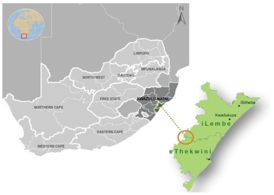 Food Insecurity in the Informal Settlements of Inanda Households Living ...
