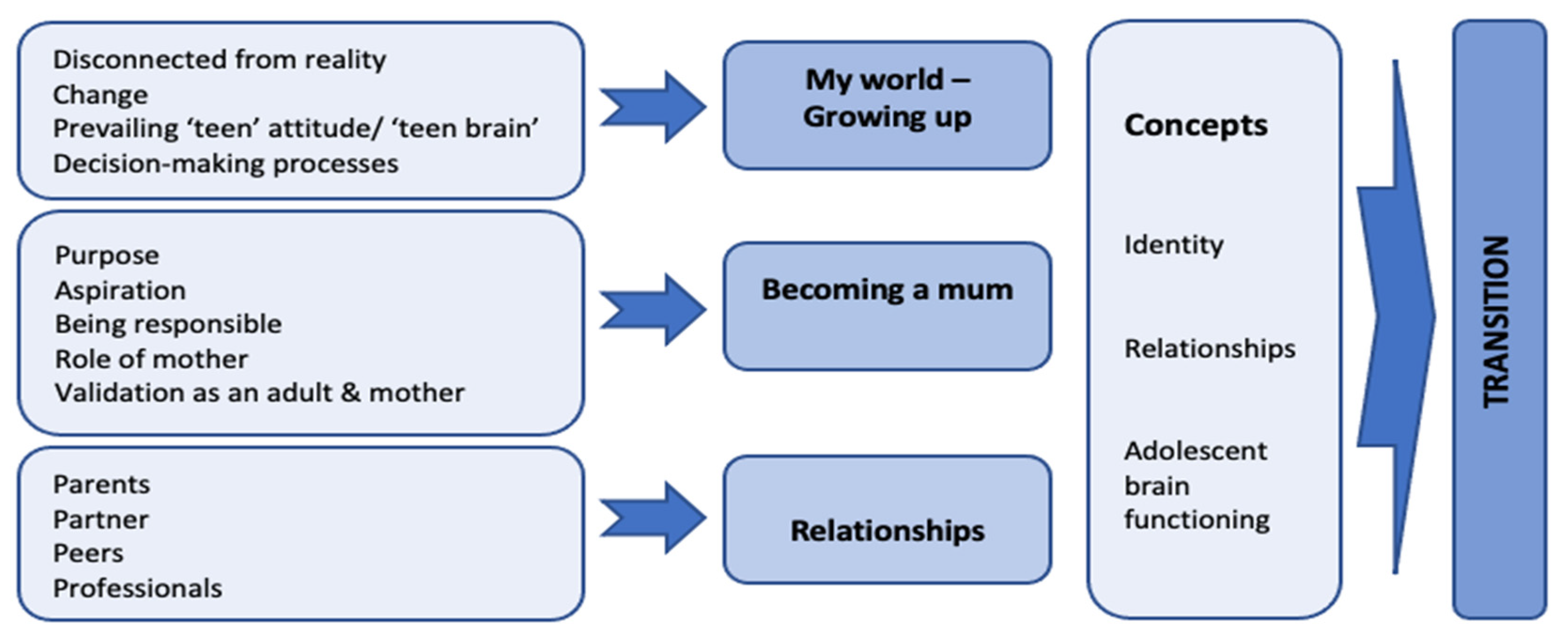 Children Free Full Text Adolescence As The Context For Children Free Full Text Adolescence As The Context For