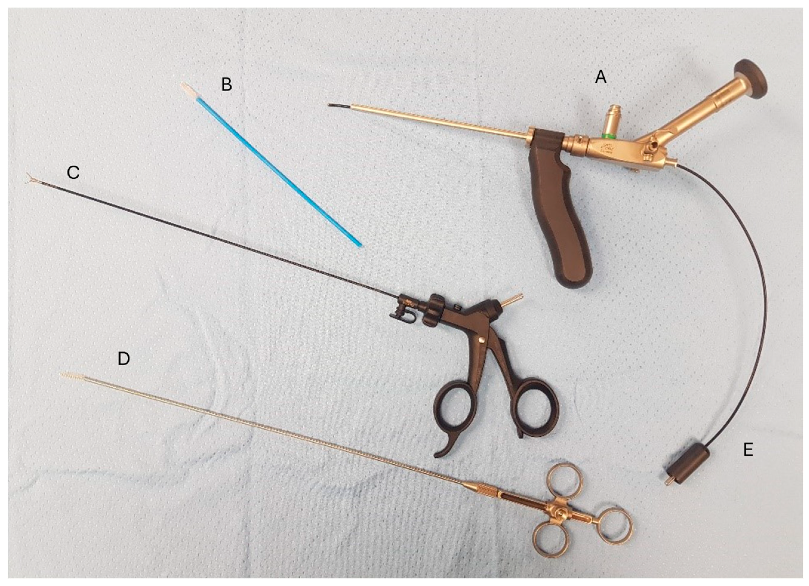 Pilonidal Sinus: Open Surgery or PEPSiT? Our Preliminary Experience in ...