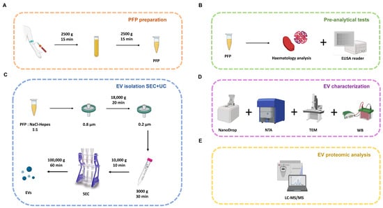 Effect of the 35 nm and 70 nm Size Exclusion Chromatography (SEC ...
