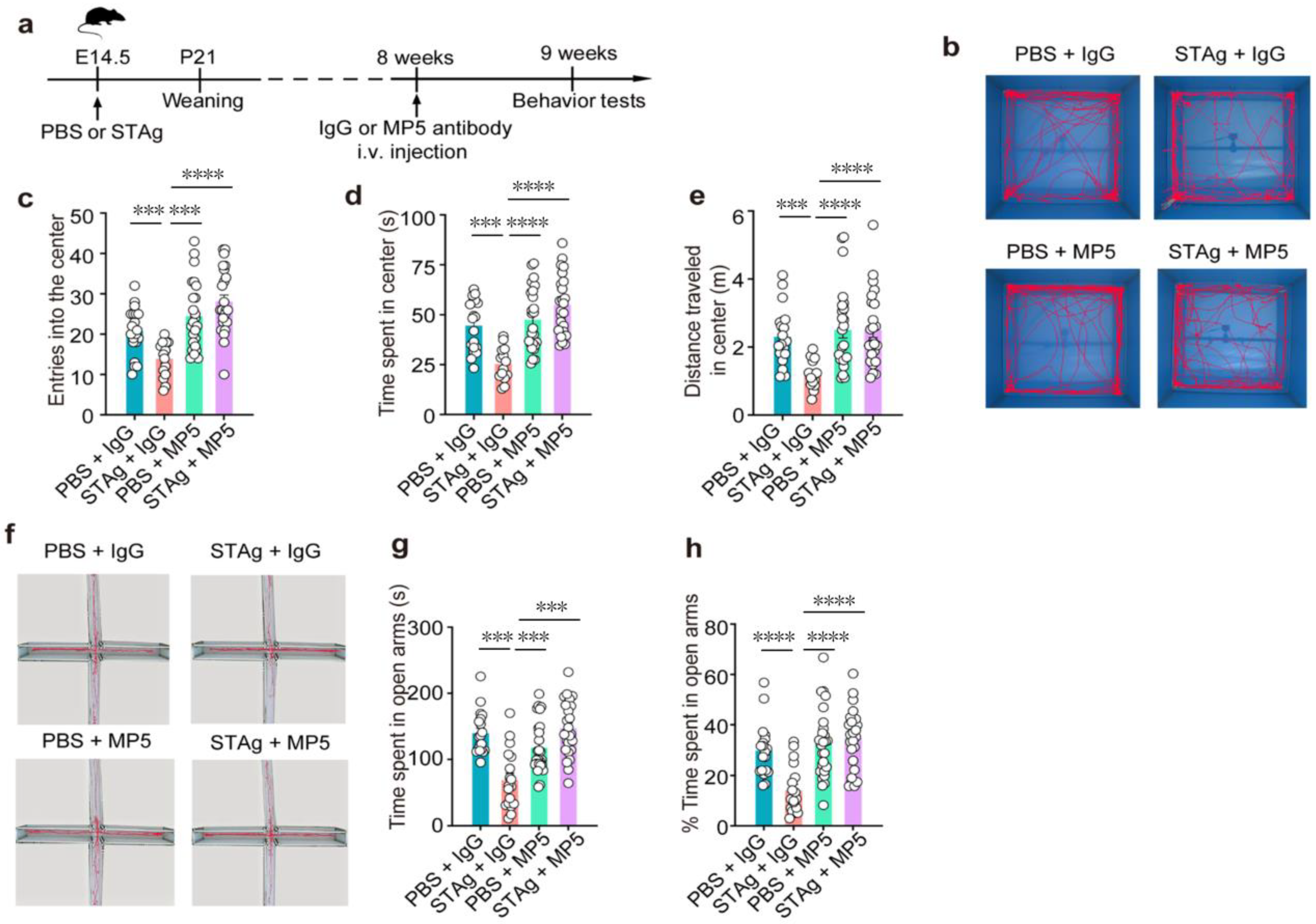 IL-6 Inhibition Partially Ameliorates Maternal Immune Activation ...