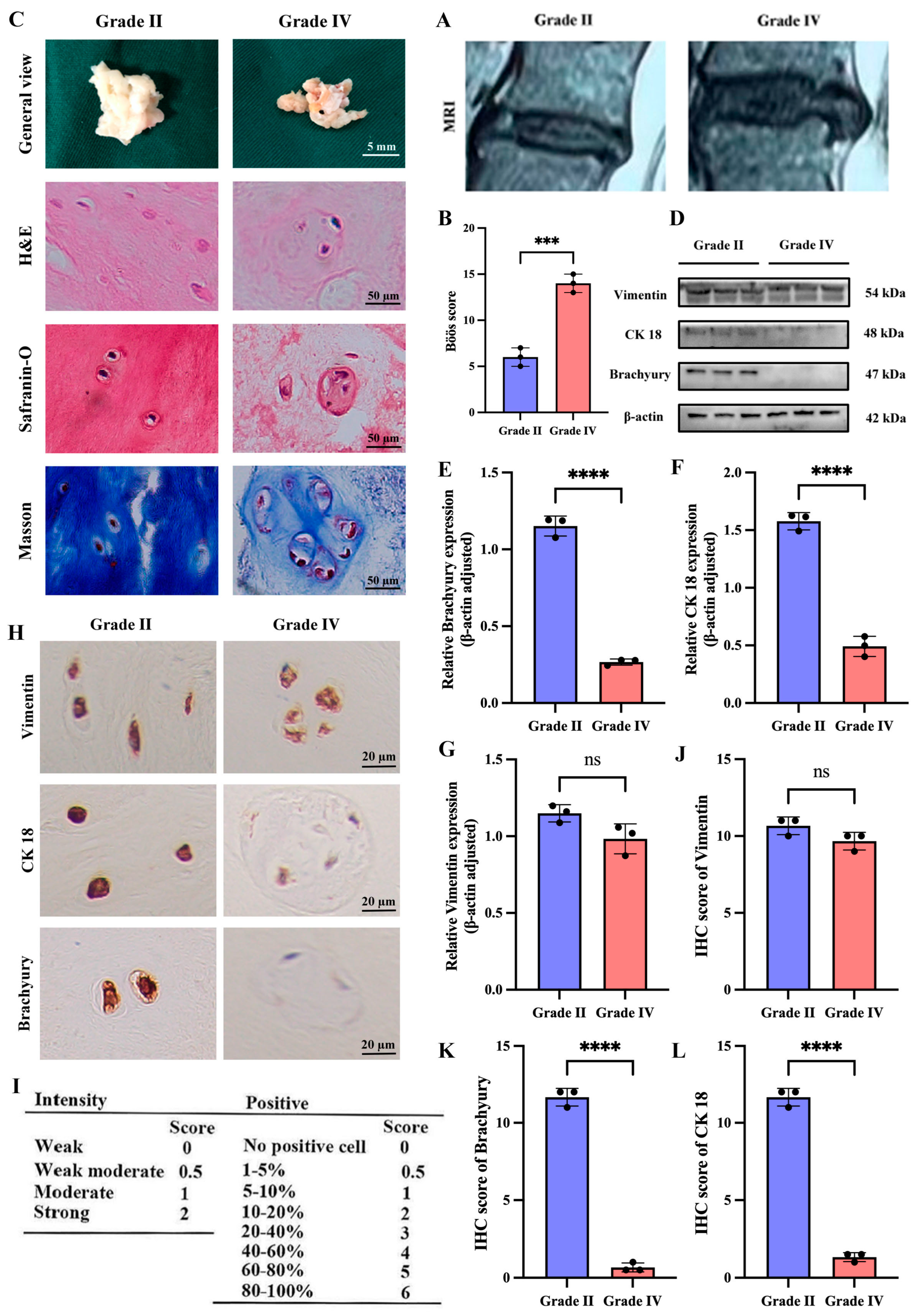 Comprehensive Transcriptomic Analysis and Experimental Validation of ...