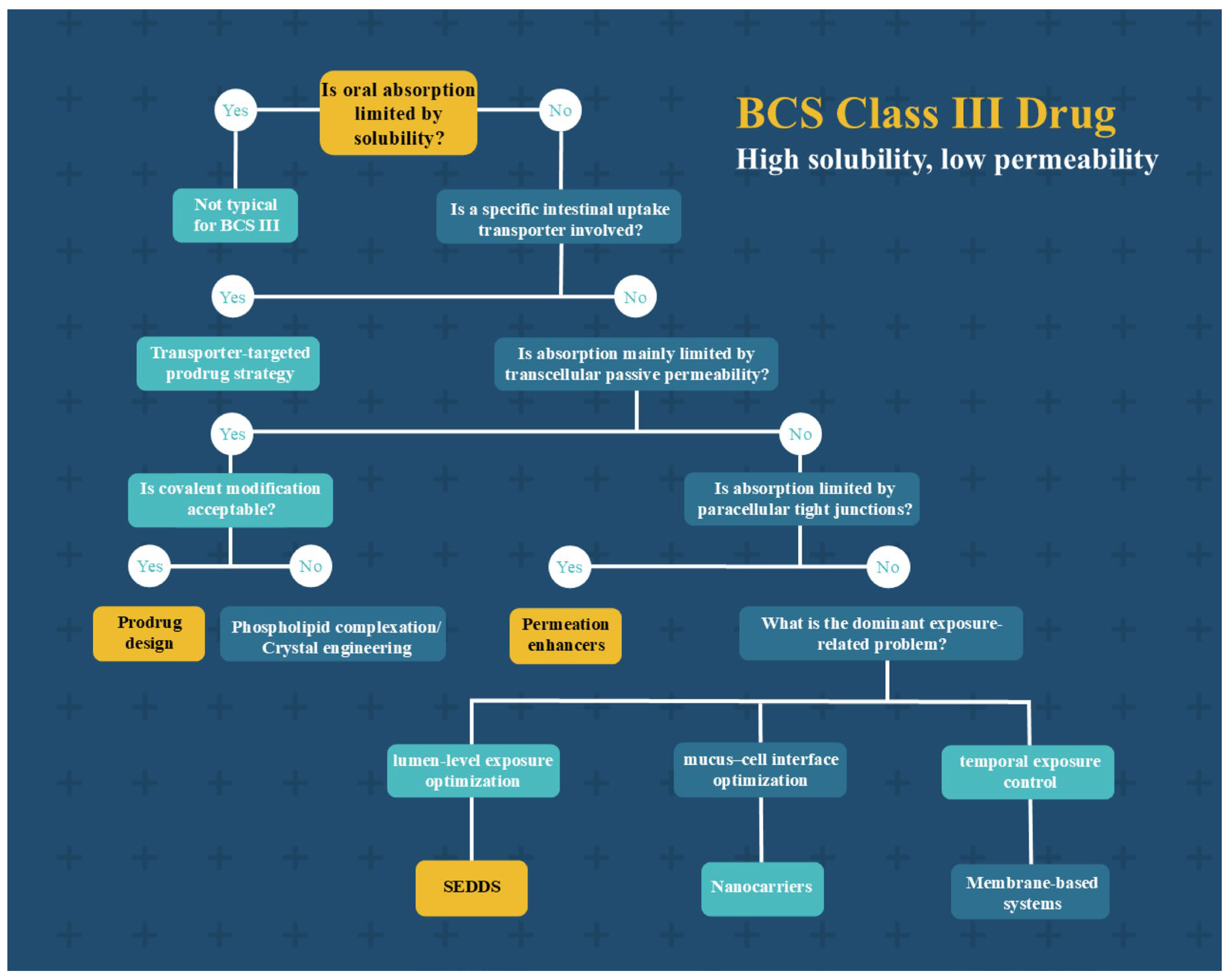 Recent Advances in Oral Drug Delivery Systems for BCS III Drugs