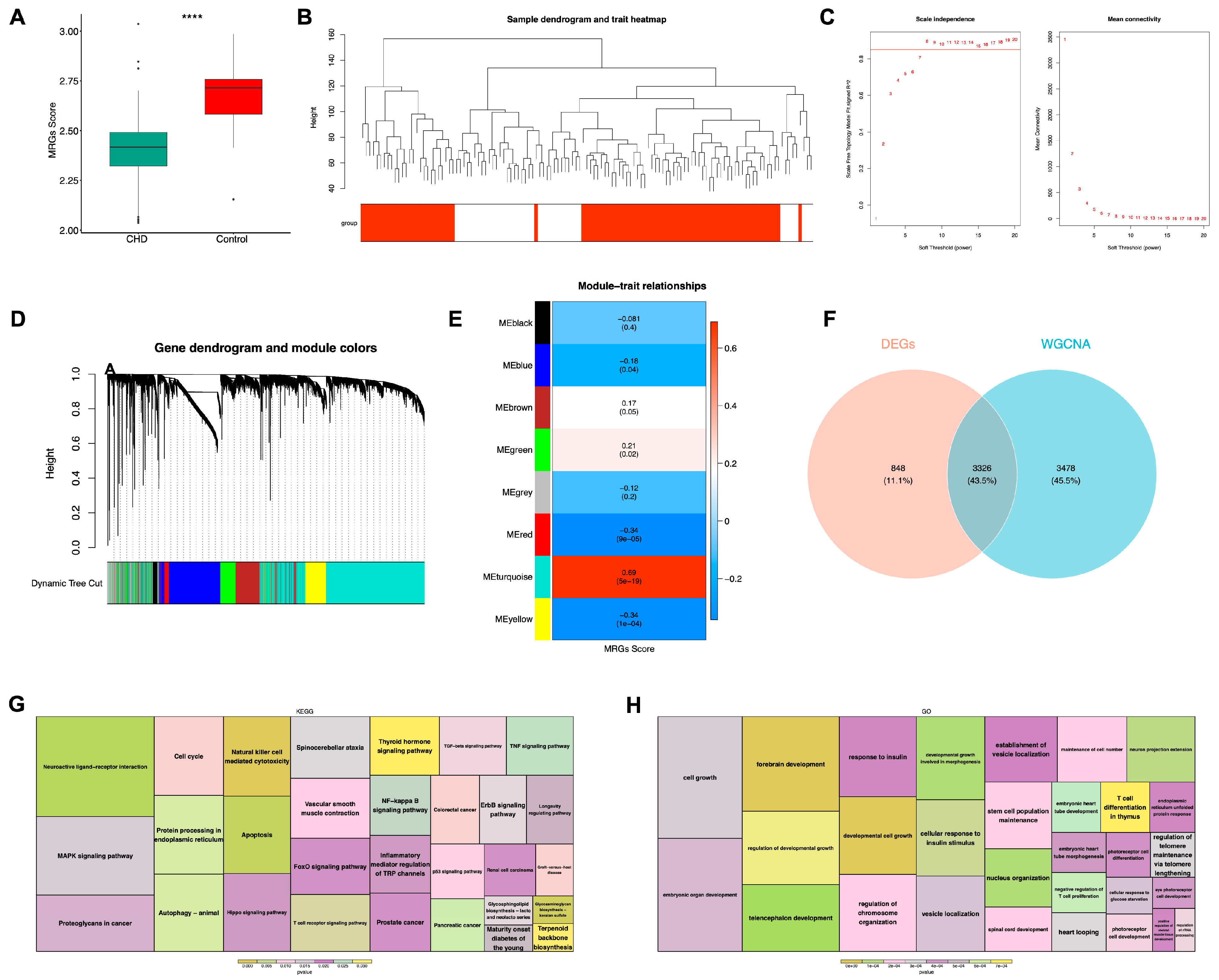 Mitochondria-Associated Endoplasmic Reticulum Membrane Biomarkers in ...