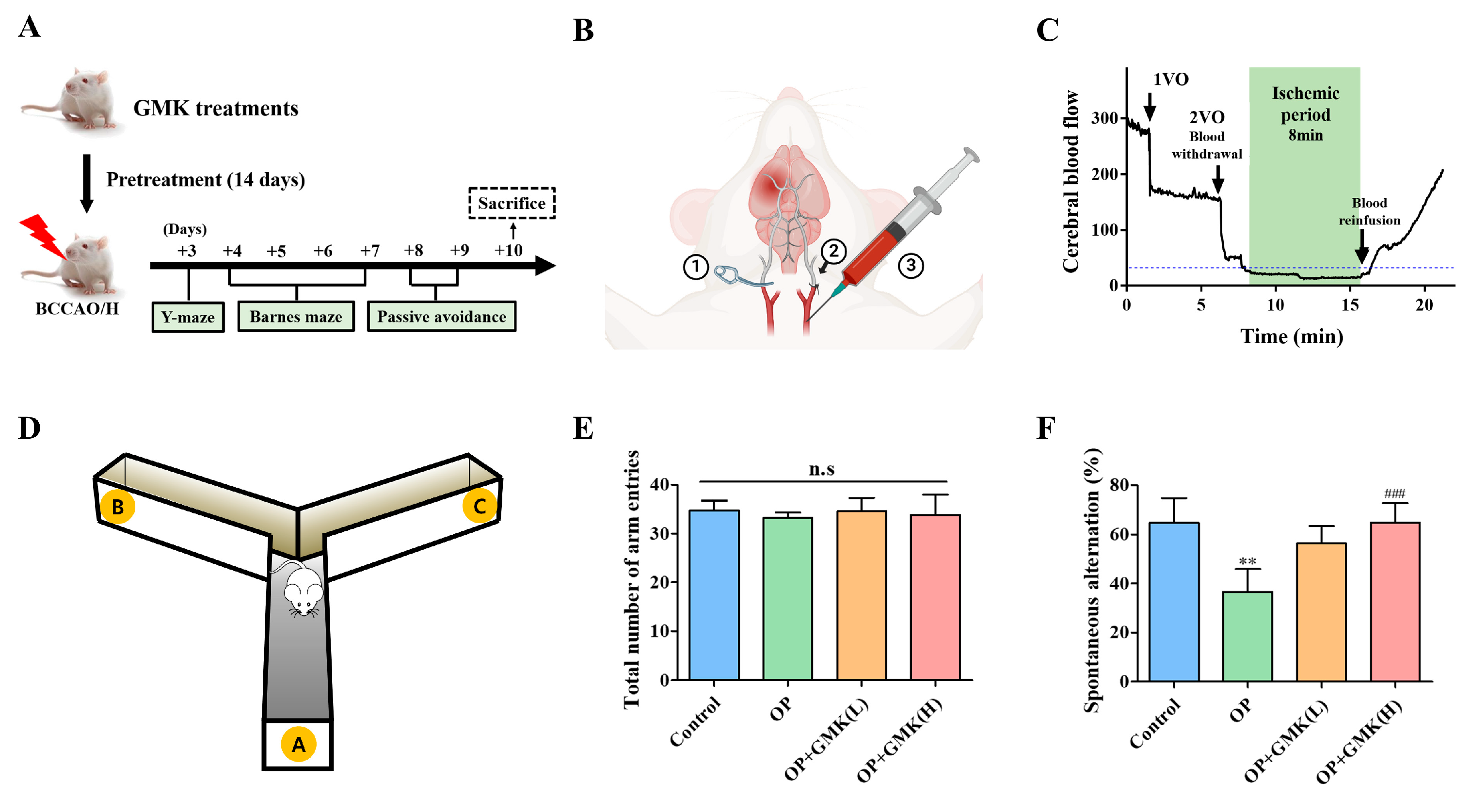 A Water Extract of Mixed Mushroom Mycelia Mitigates Cognitive Deficit ...