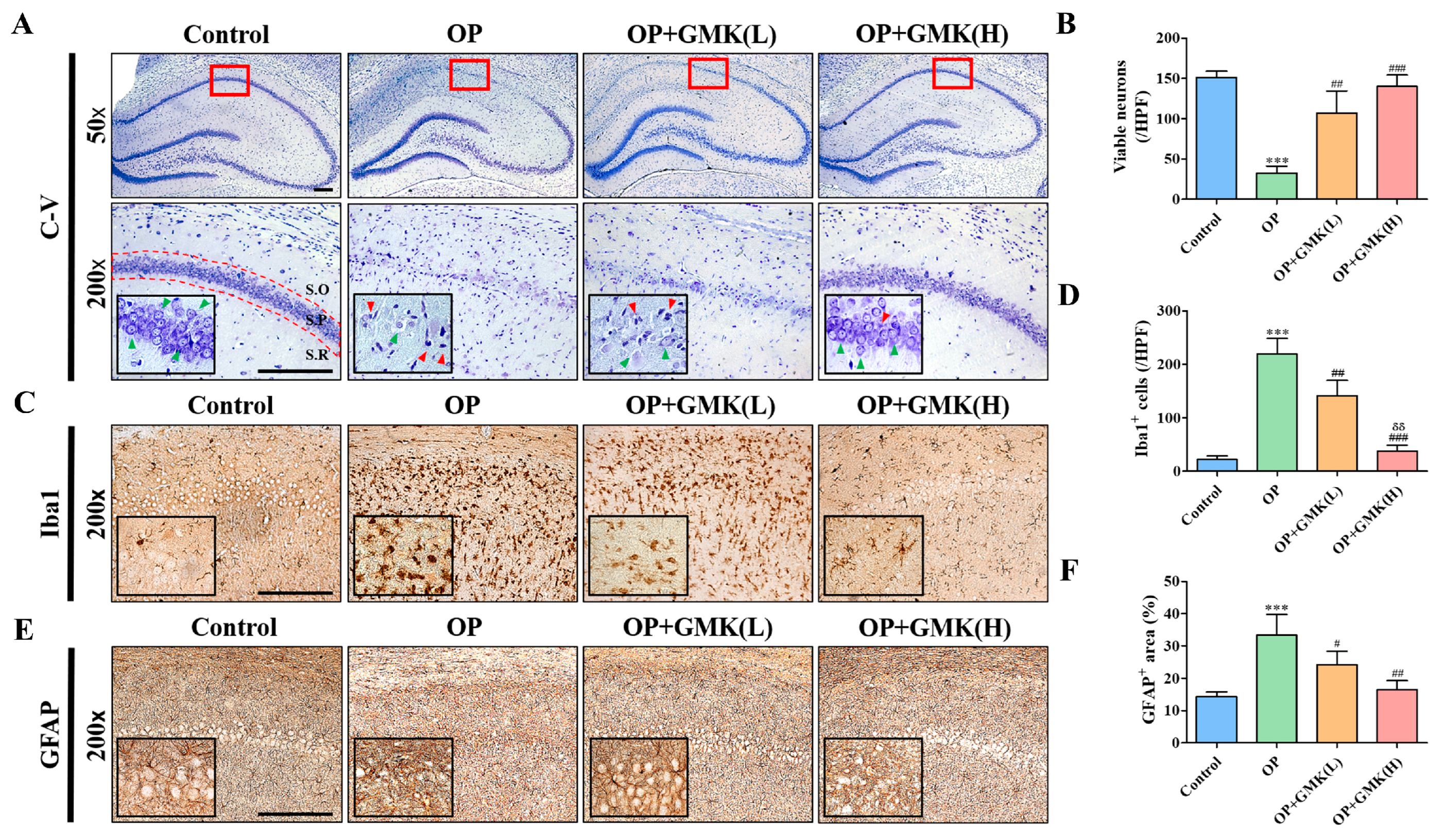 A Water Extract of Mixed Mushroom Mycelia Mitigates Cognitive Deficit ...