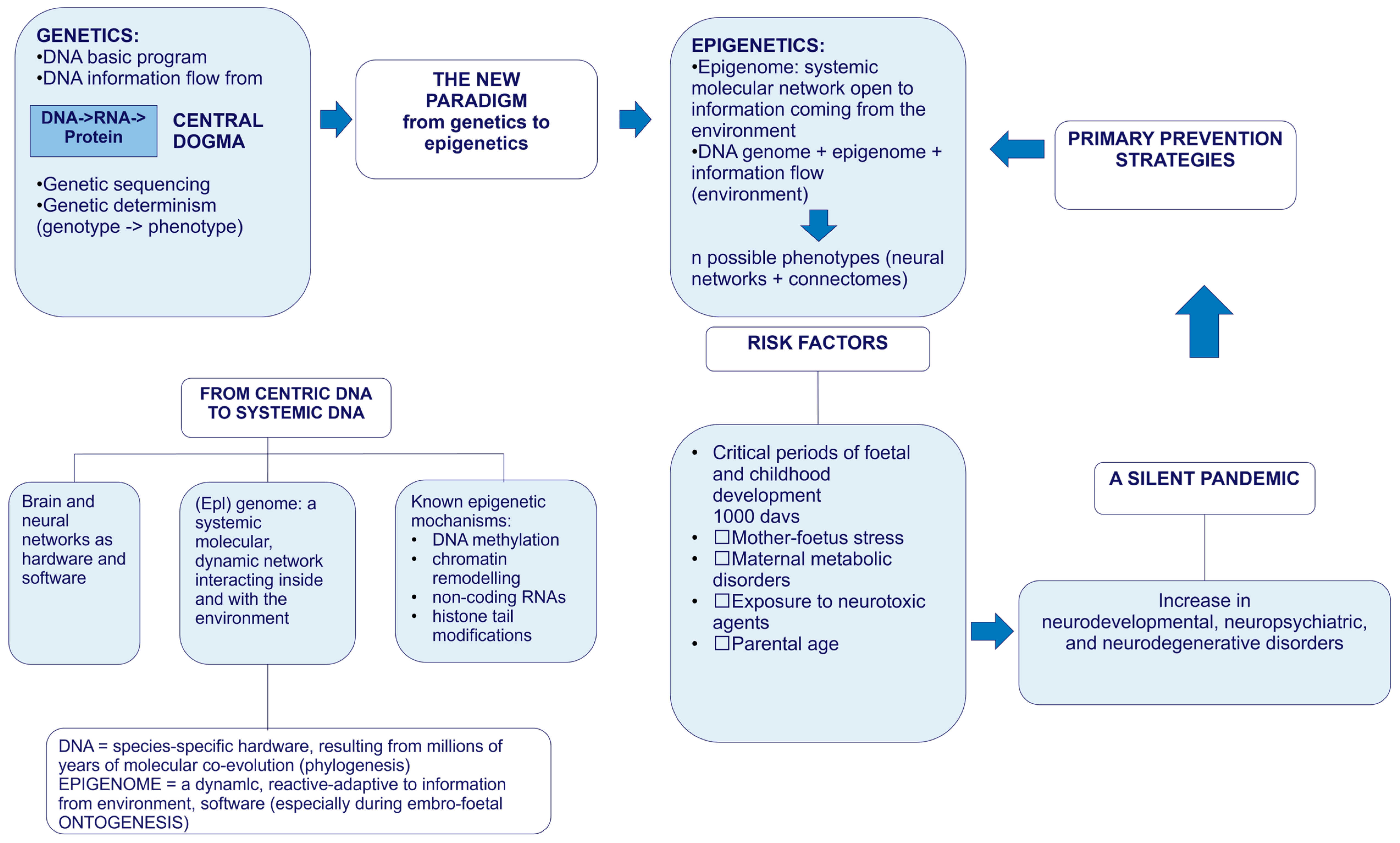 From Genetic Determinism to Epigenetic Regulation: Paradigm Shifts in ...