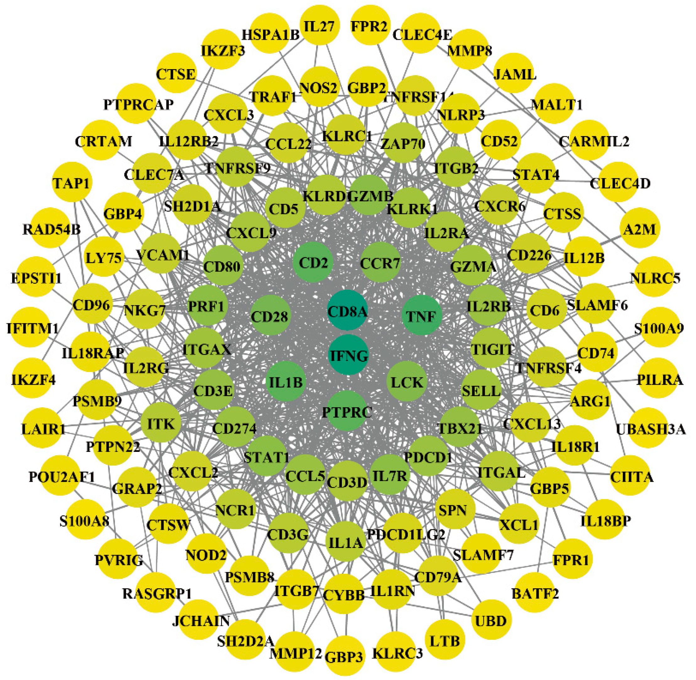 PSMB8 as a Core Target Mediating the Anti-Hepatocellular Carci-Noma ...