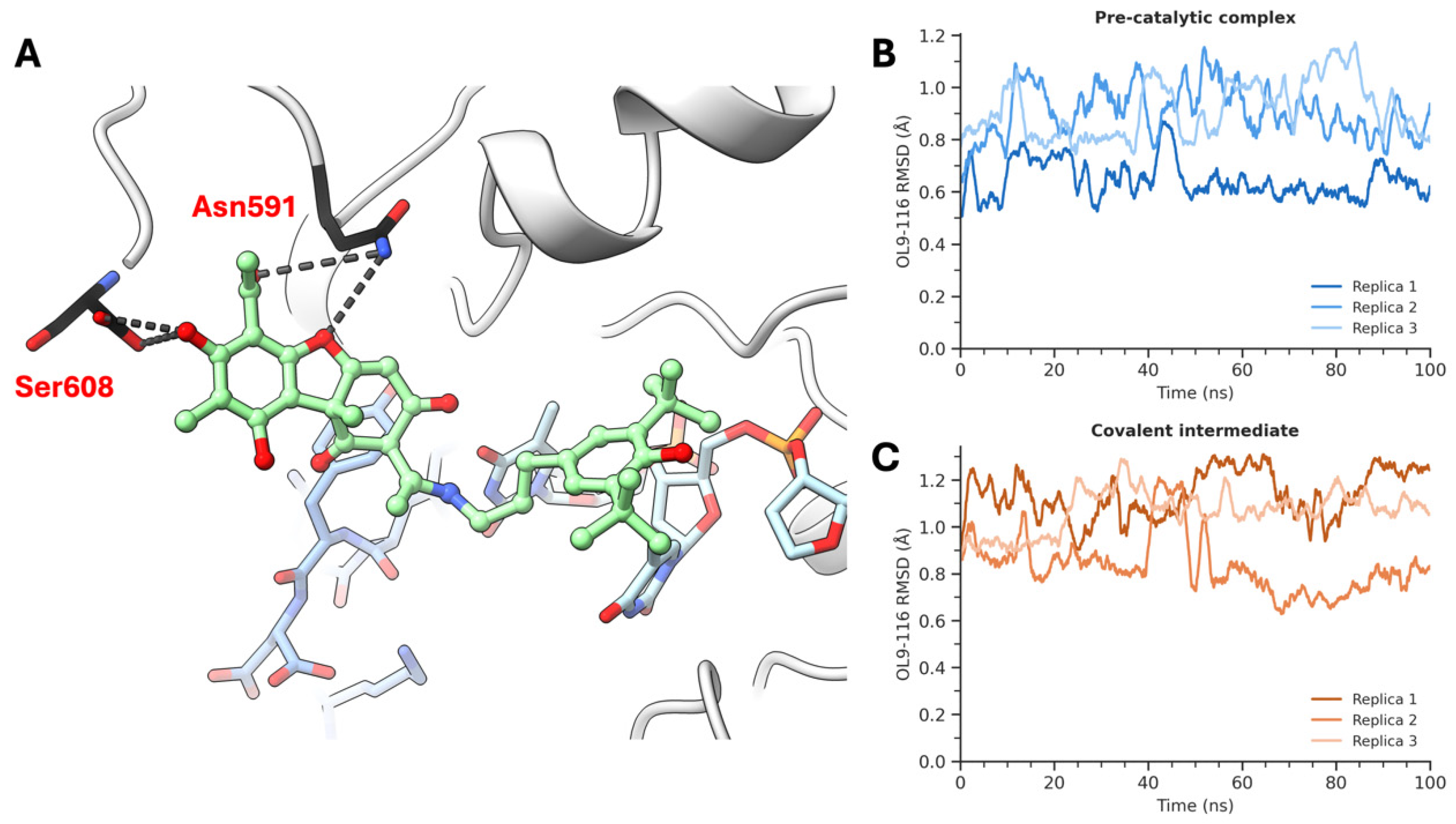 The Influence of TDP1 Inhibitor Usnic Acid Derivative OL9-116 on the ...