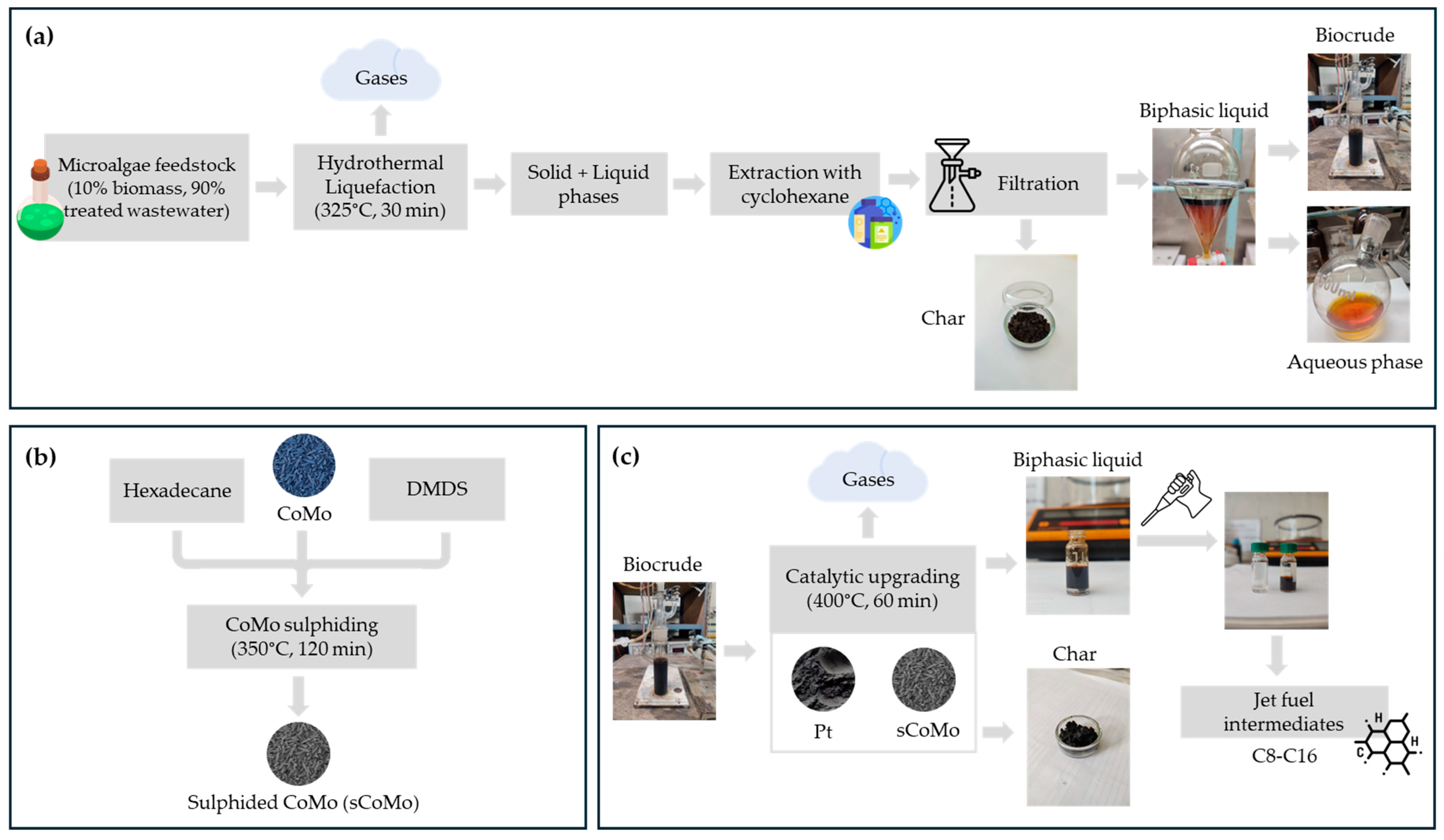 Catalytic Upgrading of Microalgae-Based Bio-Oils for Sustainable Jet ...