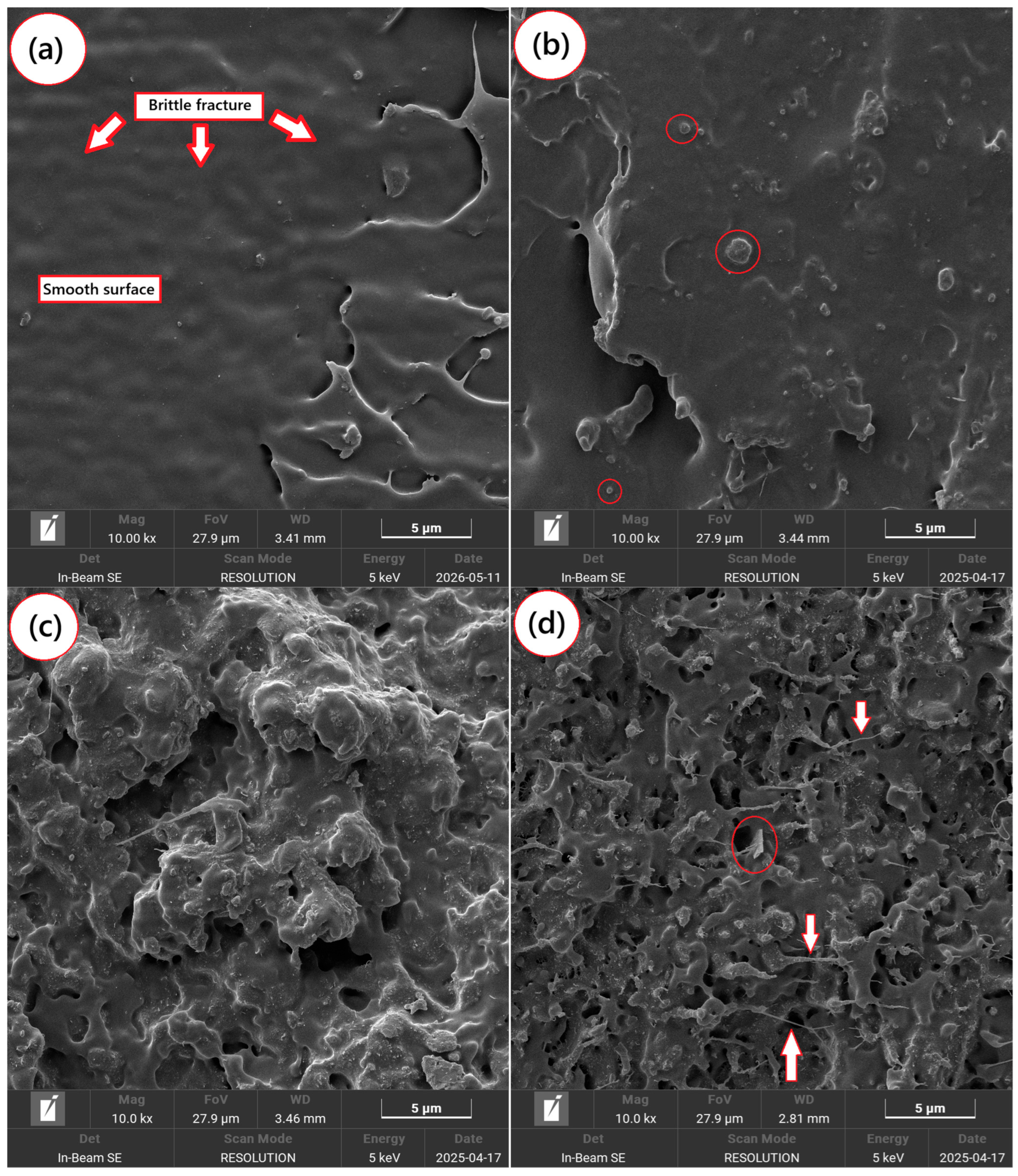 From Insulator to Conductor: Tailoring Sustainable PLA/PCL ...