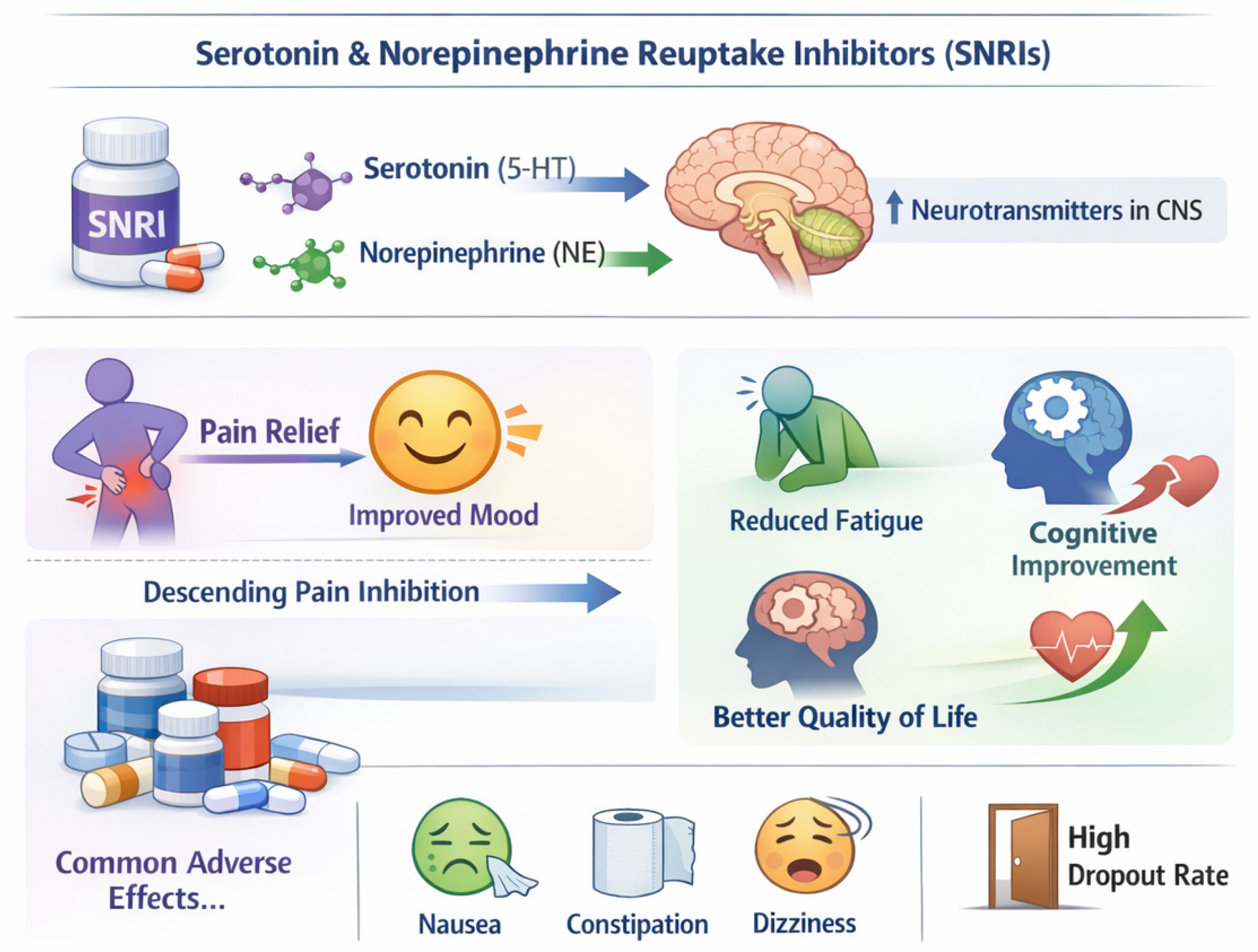 Serotonin–Norepinephrine Reuptake Inhibitors in Fibromyalgia Management ...