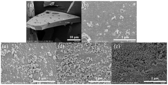 Study of a Nano-SiO2 Microsphere-Modified Basalt Flake Epoxy Resin Coating